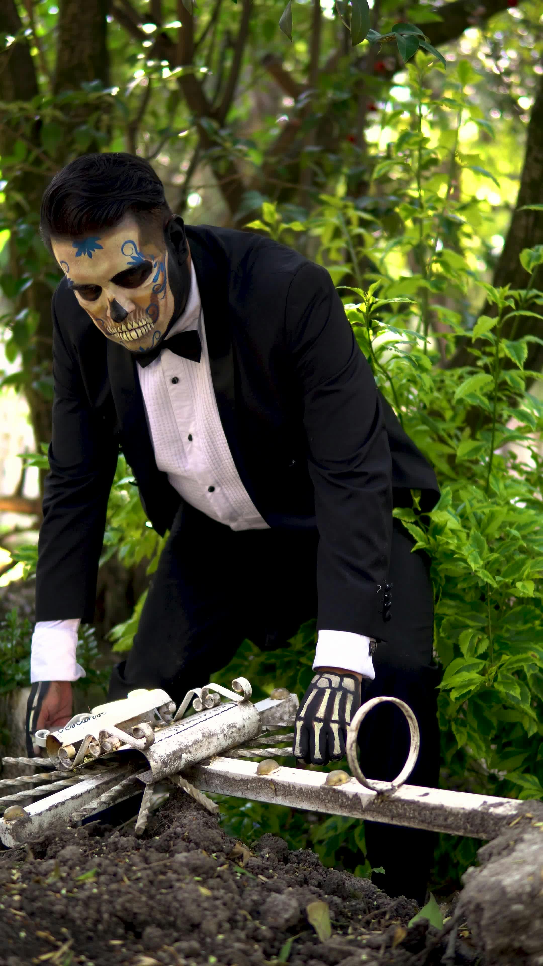 Masquerade Feel Videos, Download The BEST Free 4k Stock Video Footage ...