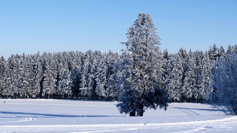 Popular+Now+On+Bing+Fun+Drmgym+Gym Videos, Download The BEST Free 4k ...