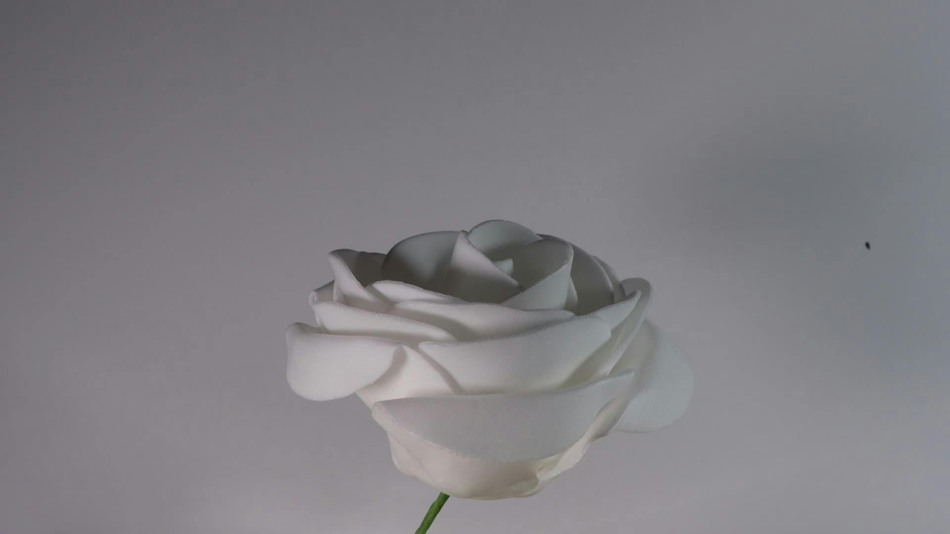 Blood Dialysis Videos, Download The BEST Free 4k Stock Video Footage ...