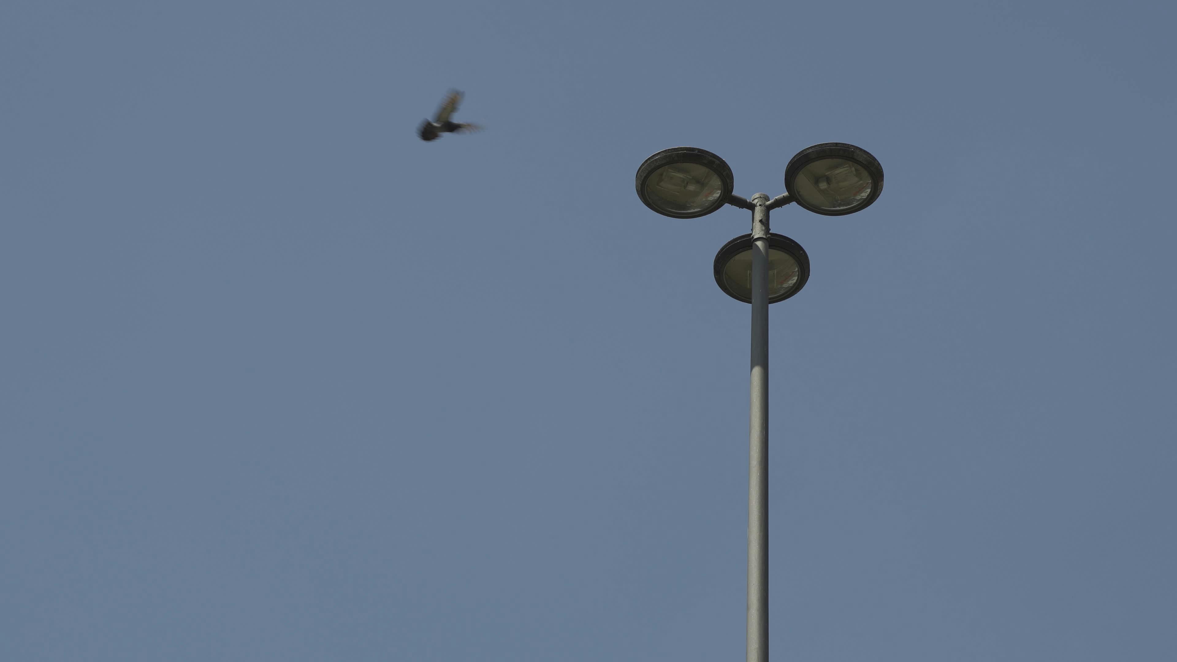 High Mast Lighting Videos, Download The BEST Free 4k Stock Video ...