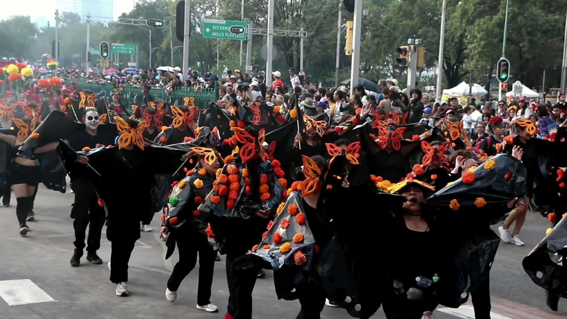 Colorful Parade of Masquerade Performers in Street Free Stock Video ...