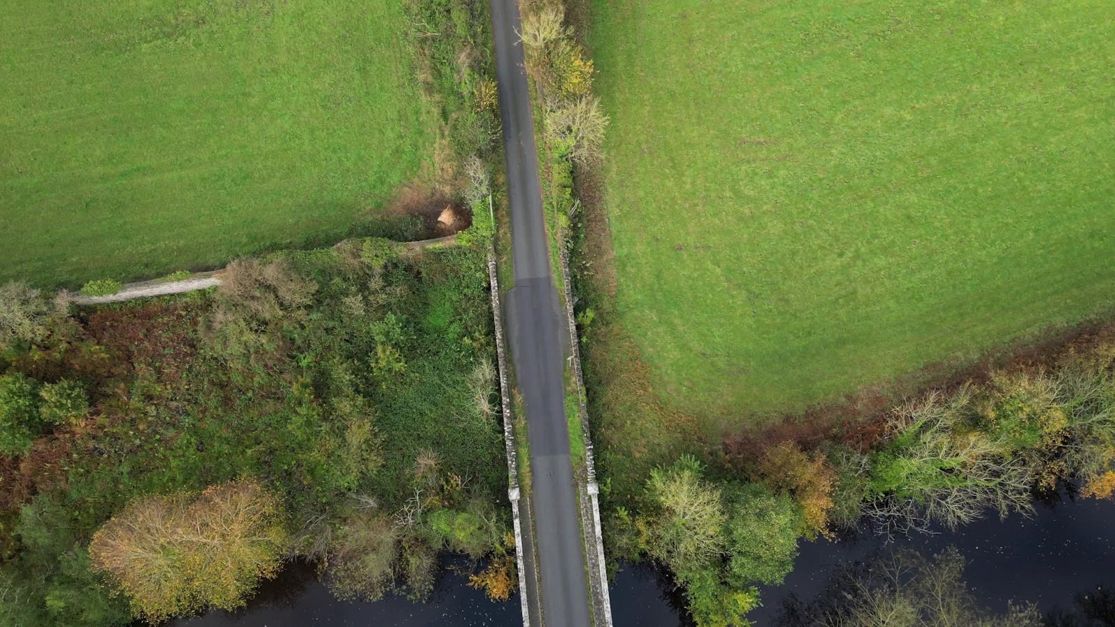 Log Footage Videos, Download The BEST Free 4k Stock Video Footage & Log ...