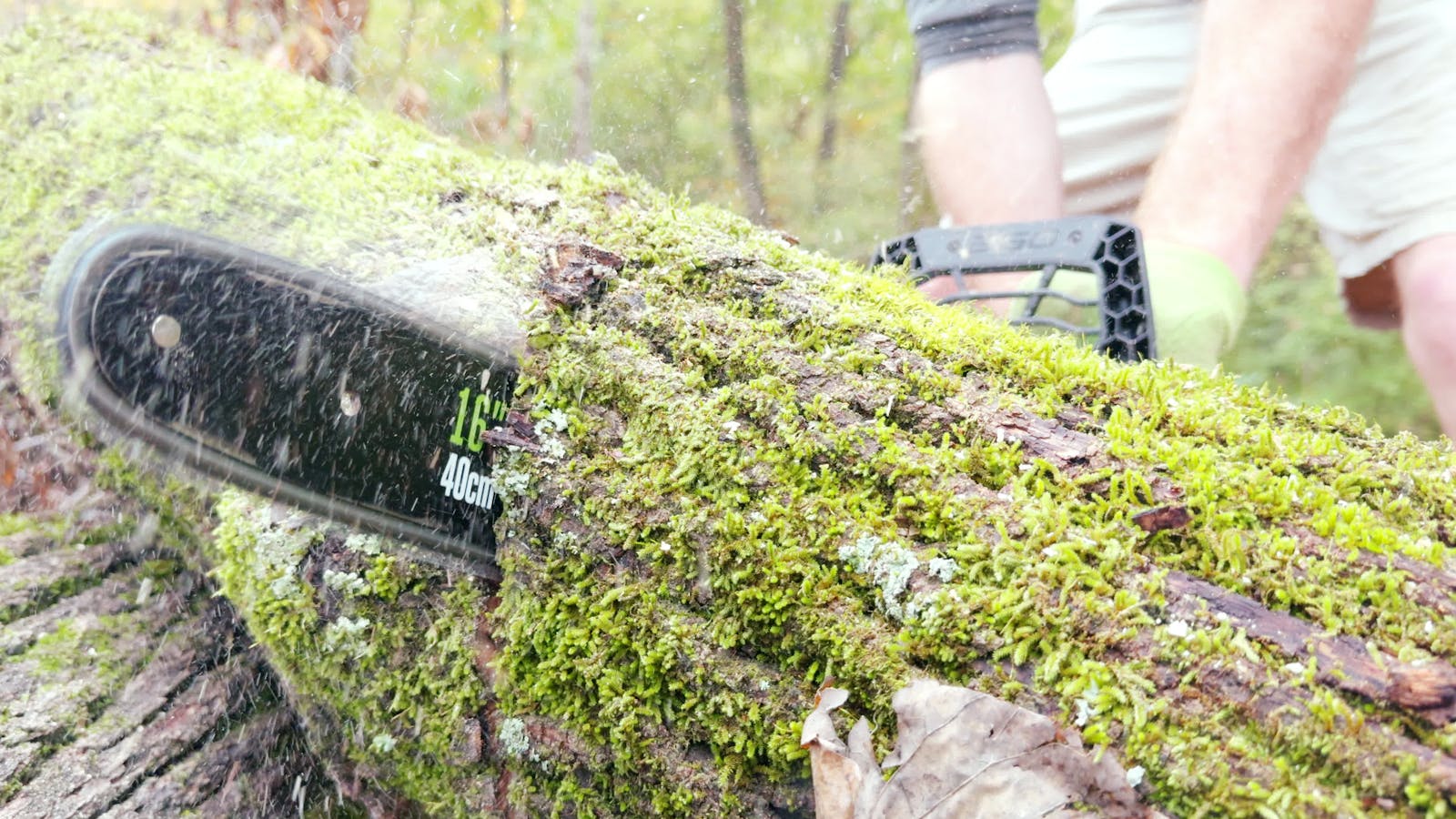 S Log Videos, Download The BEST Free 4k Stock Video Footage & S Log HD ...