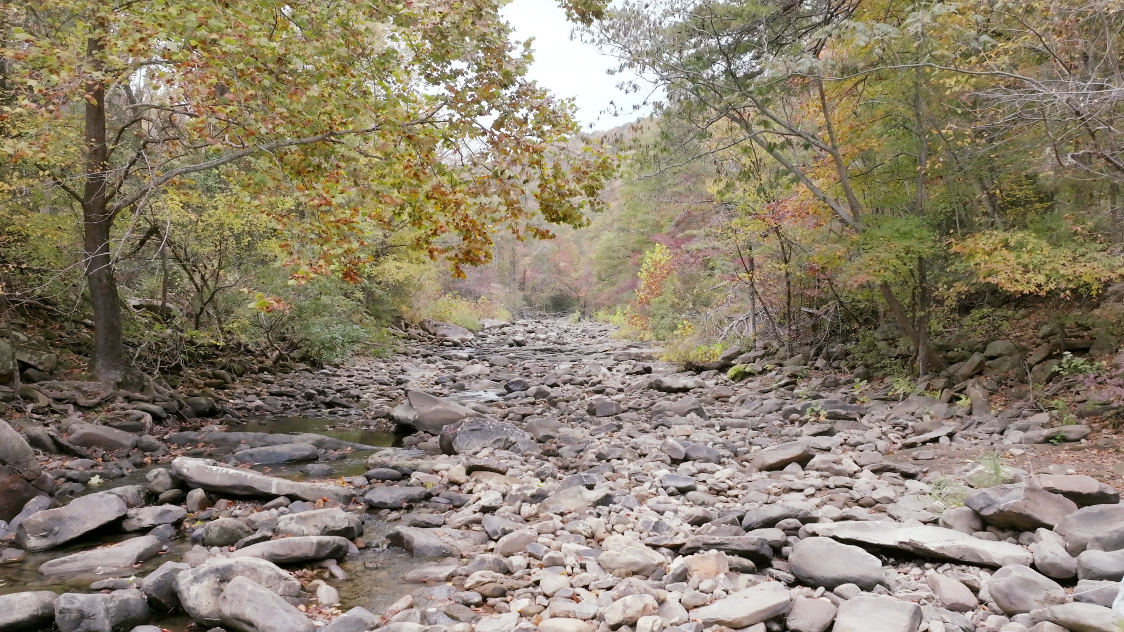 Serene Rocky Stream in Autumnal Forest Free Stock Video Footage ...