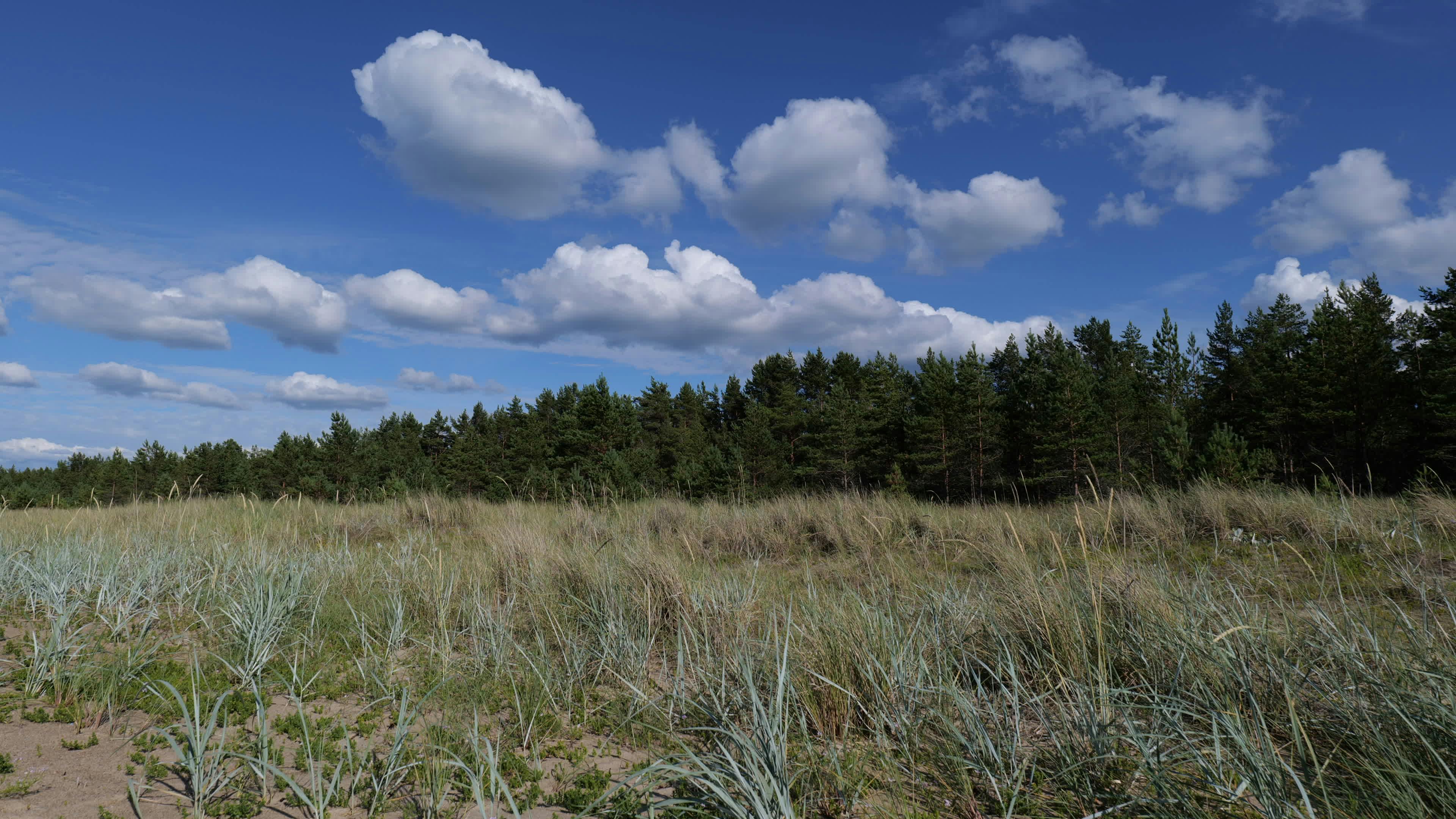 Hay Beach Videos, Download The BEST Free 4k Stock Video Footage & Hay ...