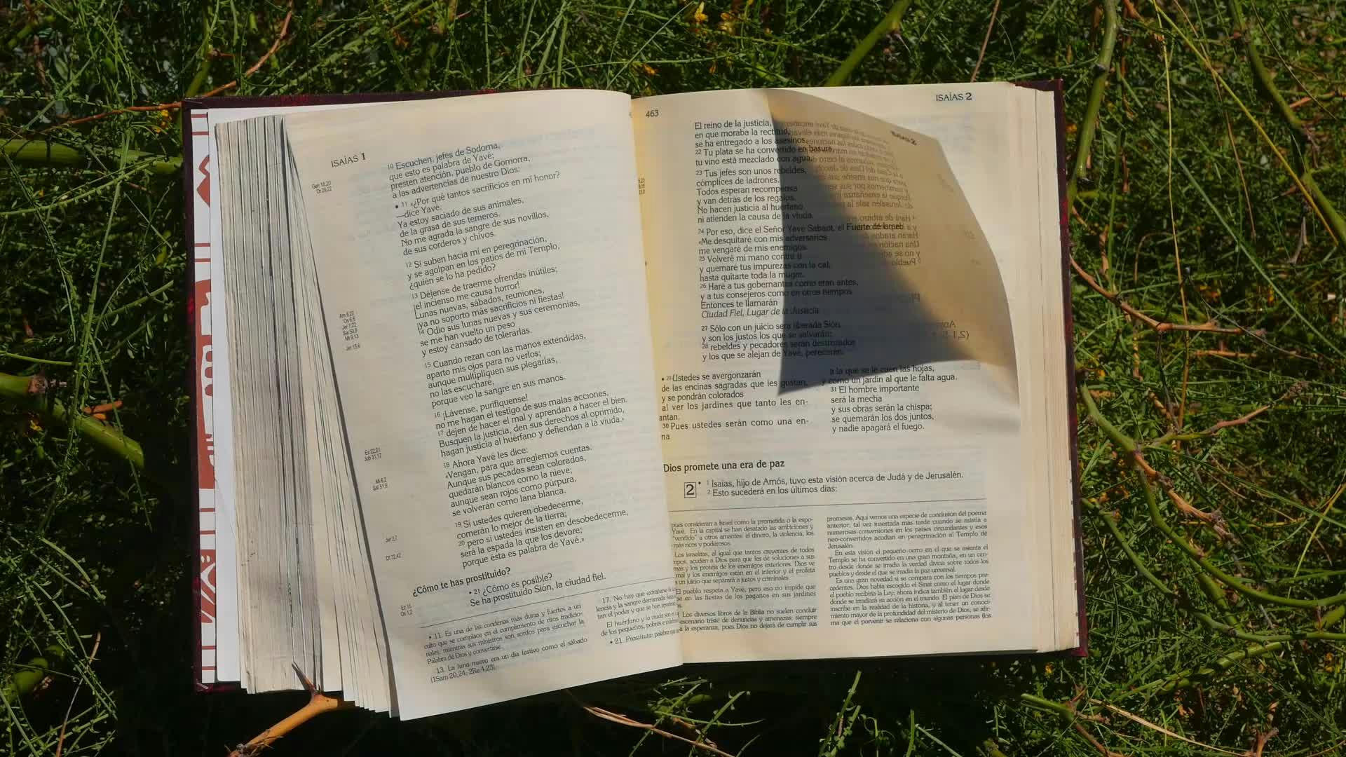 Bible Verse Background Videos, Download The BEST Free 4k Stock Video ...