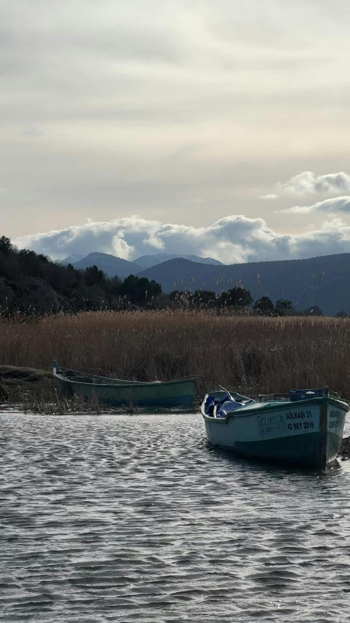 Pron Video Videos, Download The BEST Free 4k Stock Video Footage & Pron ...