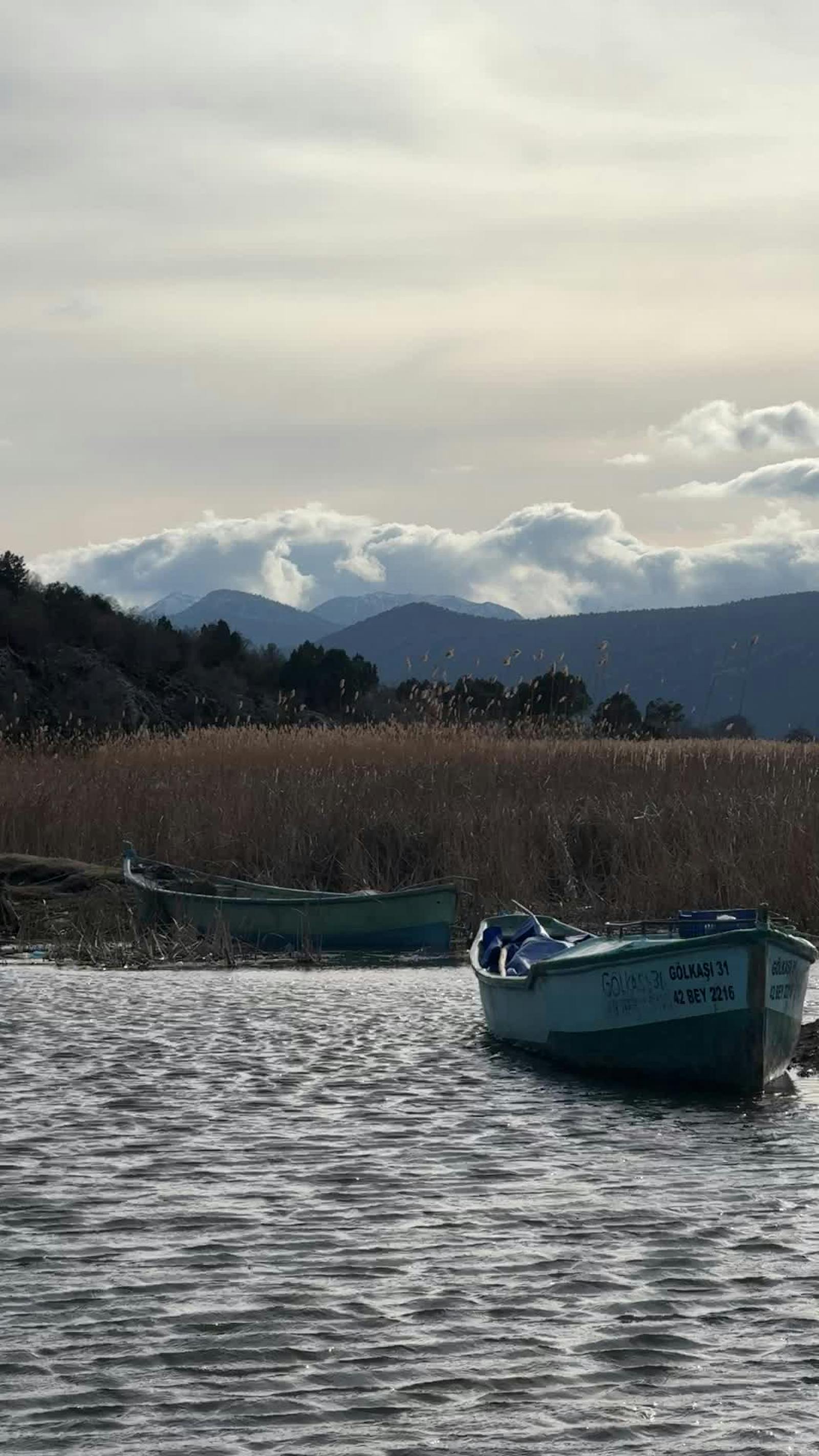 16k Video Videos, Download The BEST Free 4k Stock Video Footage & 16k ...