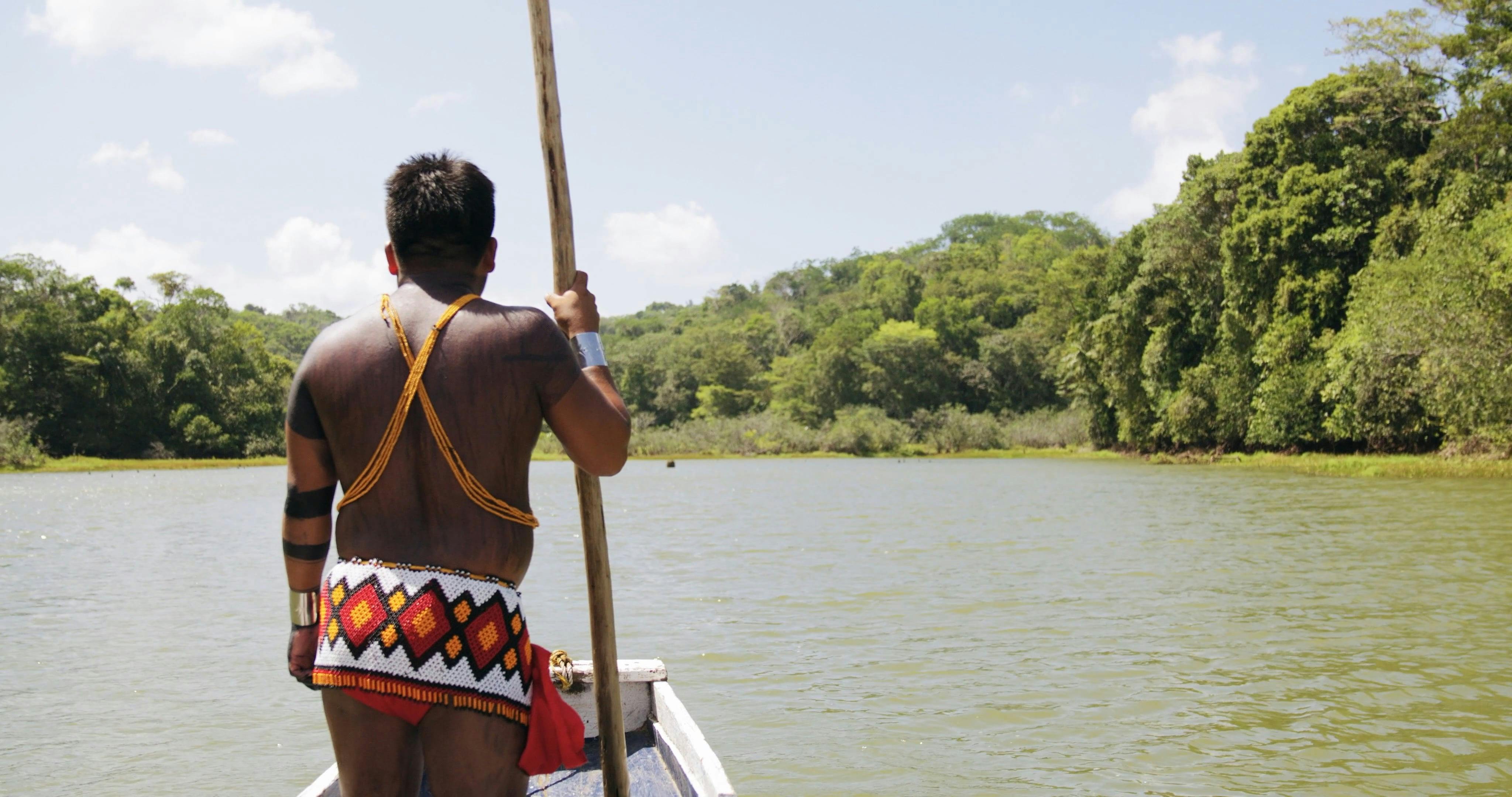 Native Videos, Download The BEST Free 4k Stock Video Footage & Native ...