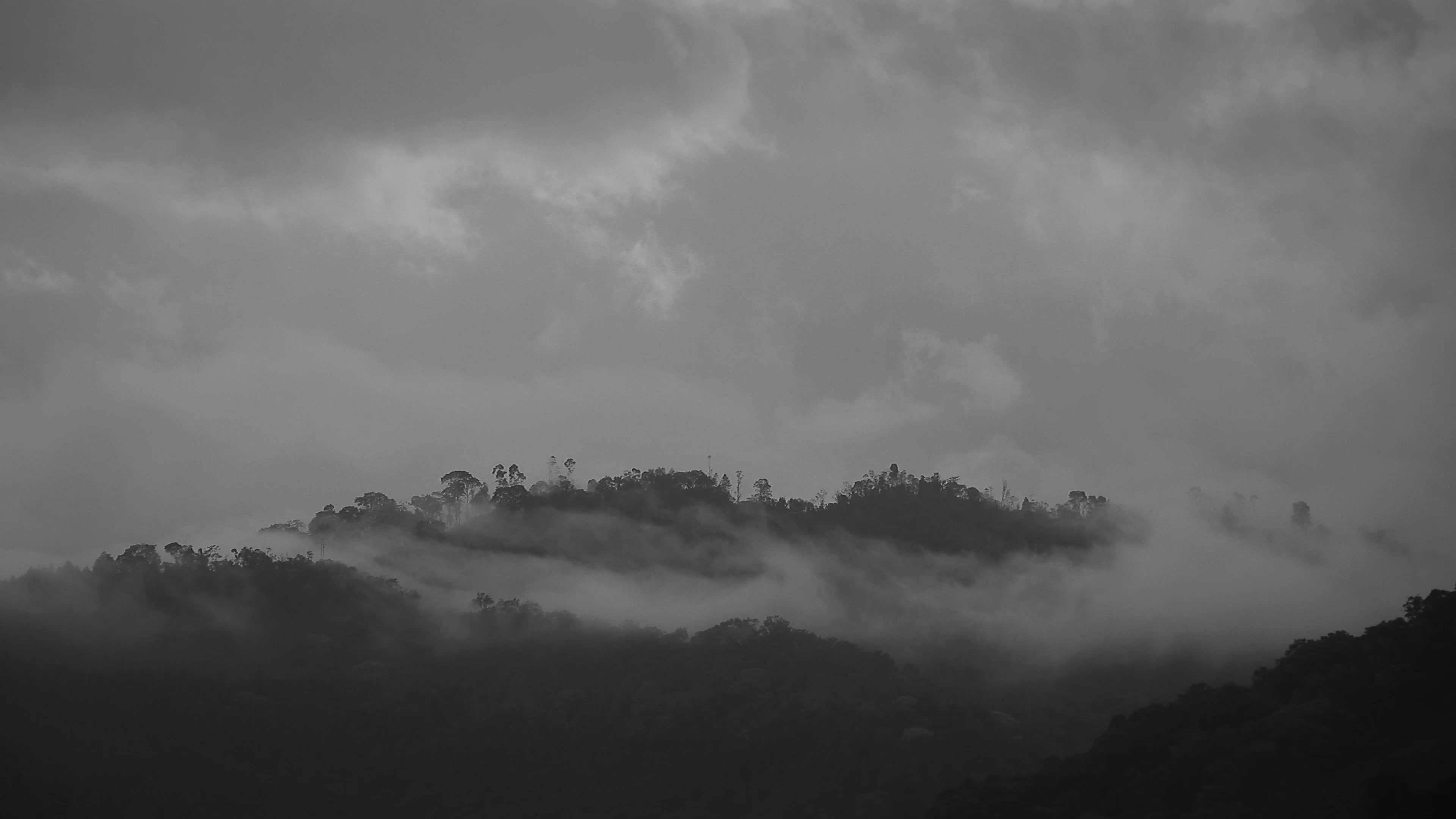 Rain Landscape For Desktop Videos, Download The BEST Free 4k Stock ...