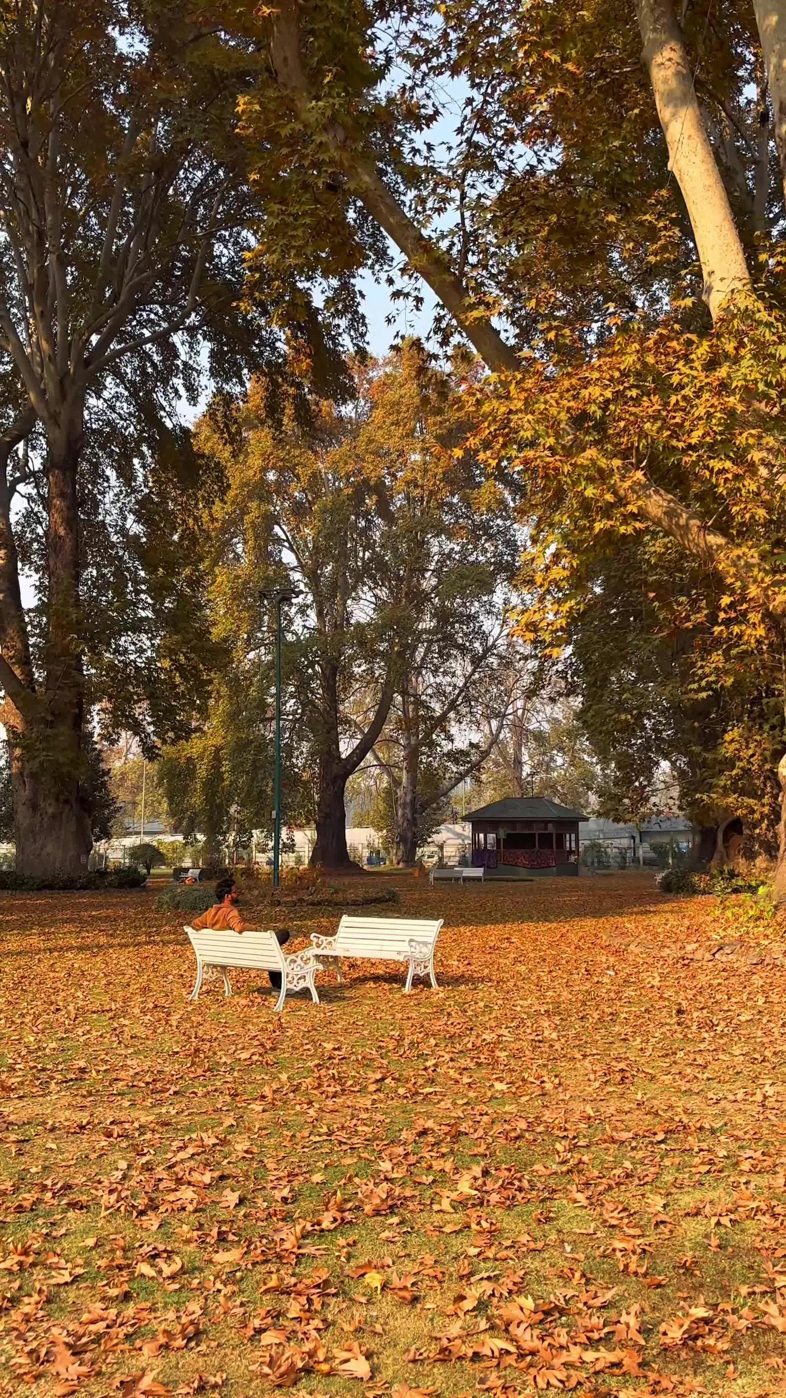 Full Hd Video Videos, Download The BEST Free 4k Stock Video Footage ...