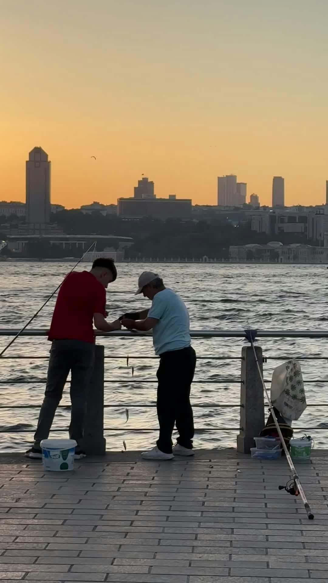 Sunset 4k Short Video Videos, Download The BEST Free 4k Stock Video ...