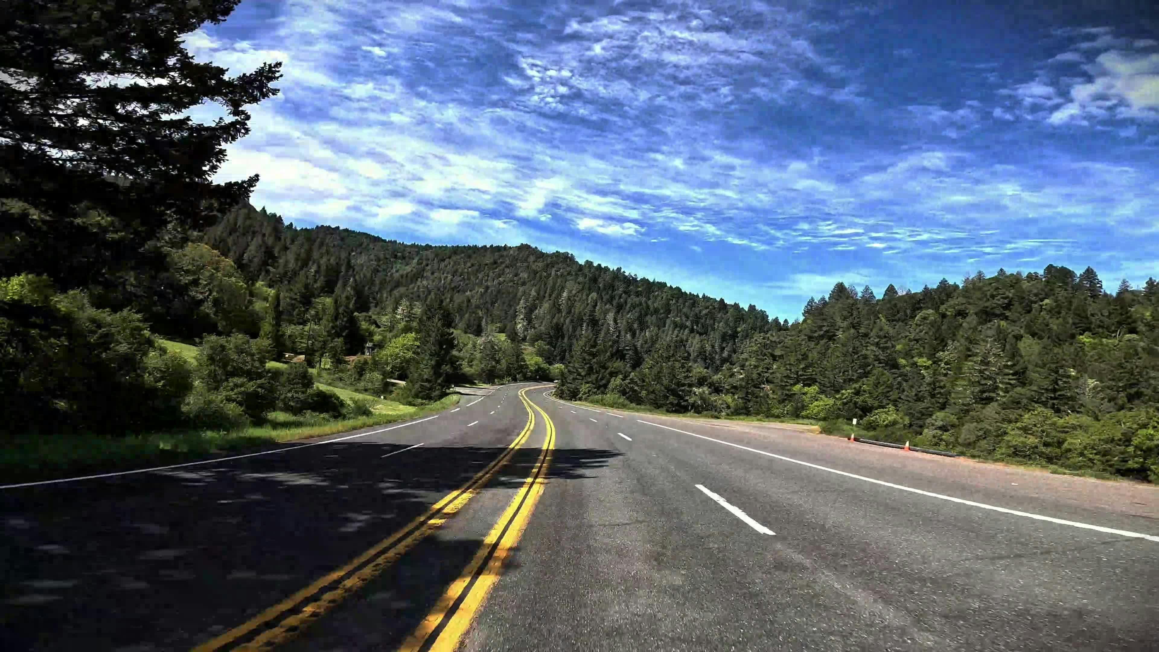 Scenic Coastal Highway Drive Through Forest Free Stock Video Footage ...
