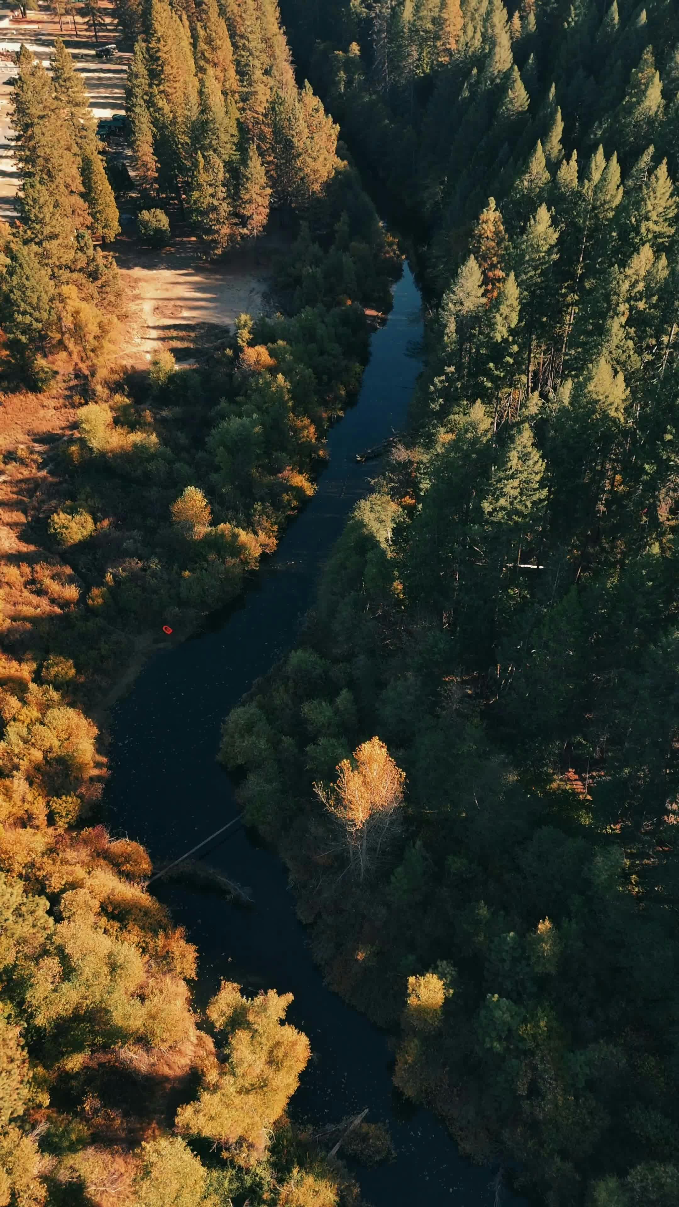 Without Color Grading Videos, Download The BEST Free 4k Stock Video ...