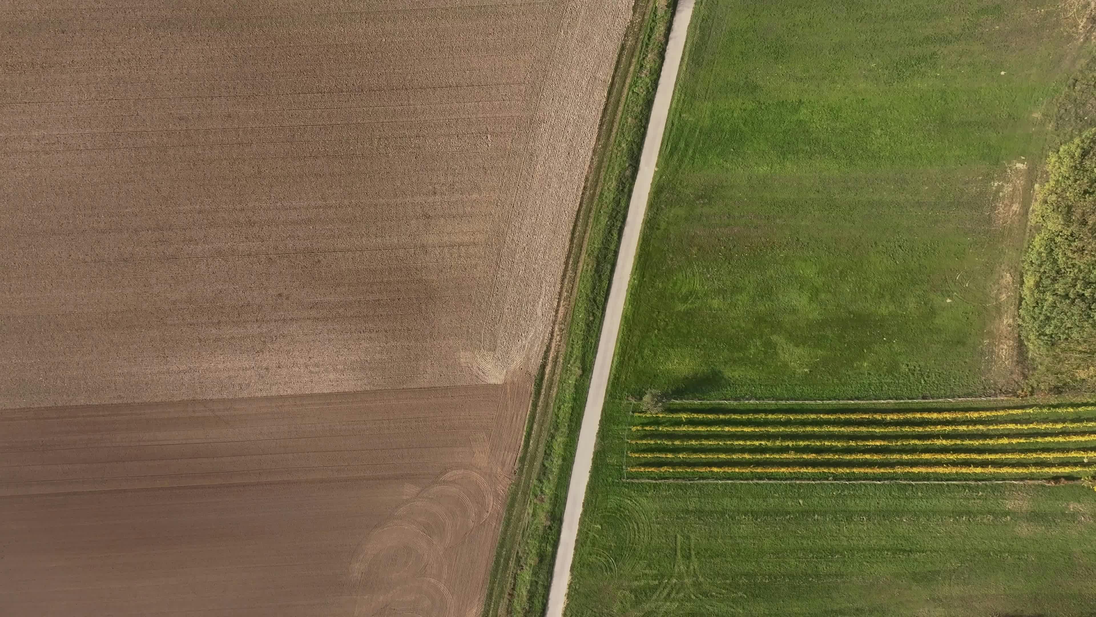 Soil Filmleri Videos, Download The BEST Free 4k Stock Video Footage & Soil Filmleri HD Video Clips