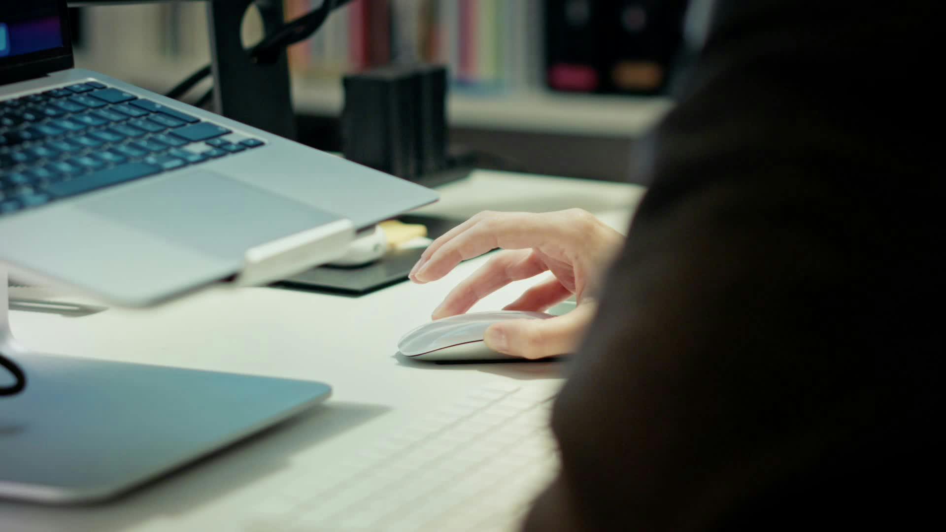 Python Videos, Download The BEST Free 4k Stock Video Footage & Python ...