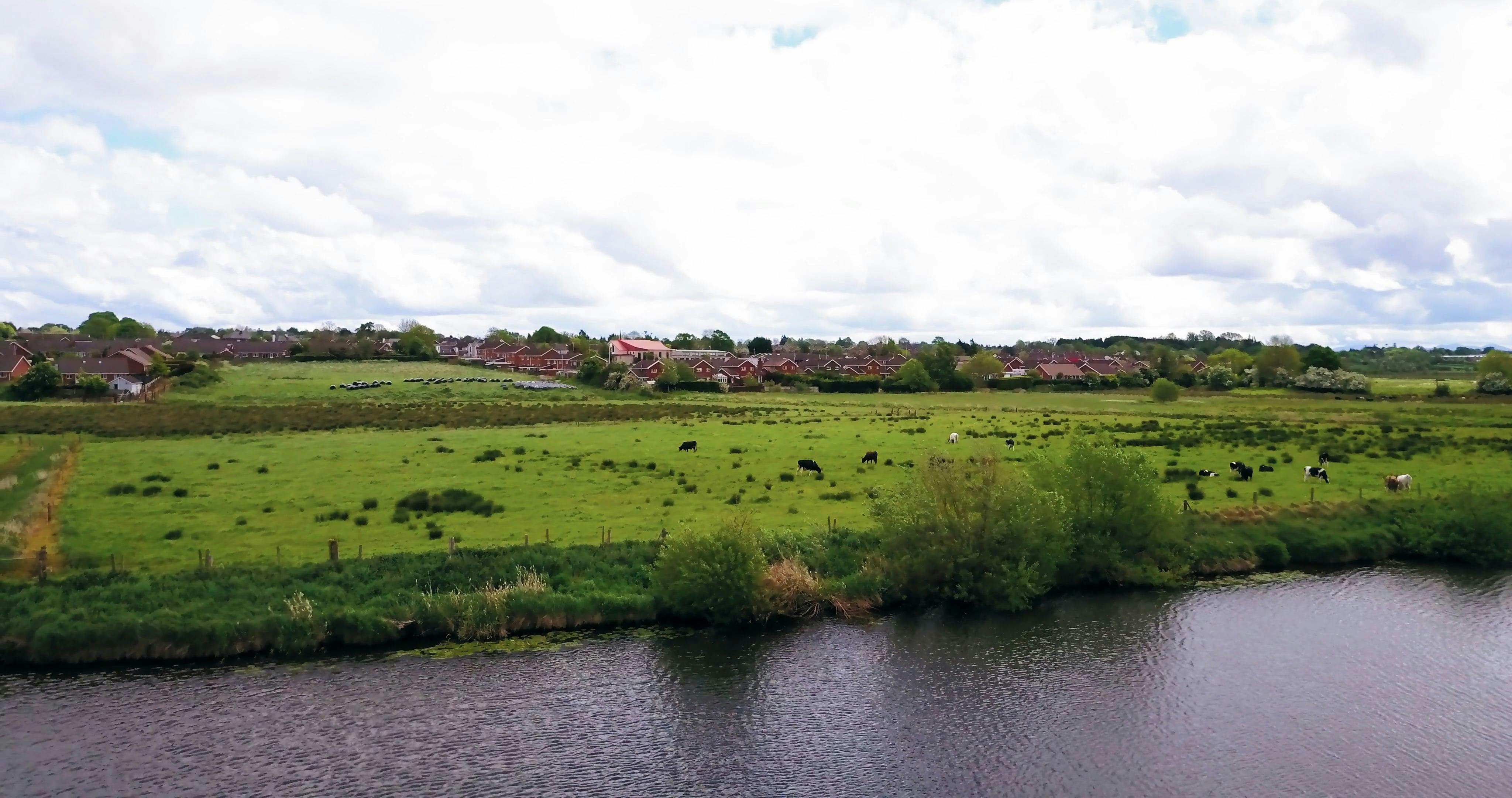 Rural Habitat Videos, Download The BEST Free 4k Stock Video Footage ...