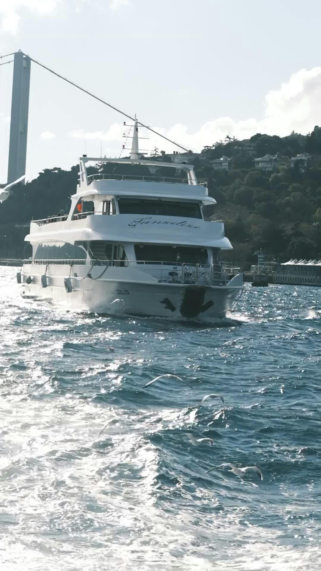 Luxury Yacht Videos, Download The BEST Free 4k Stock Video Footage ...