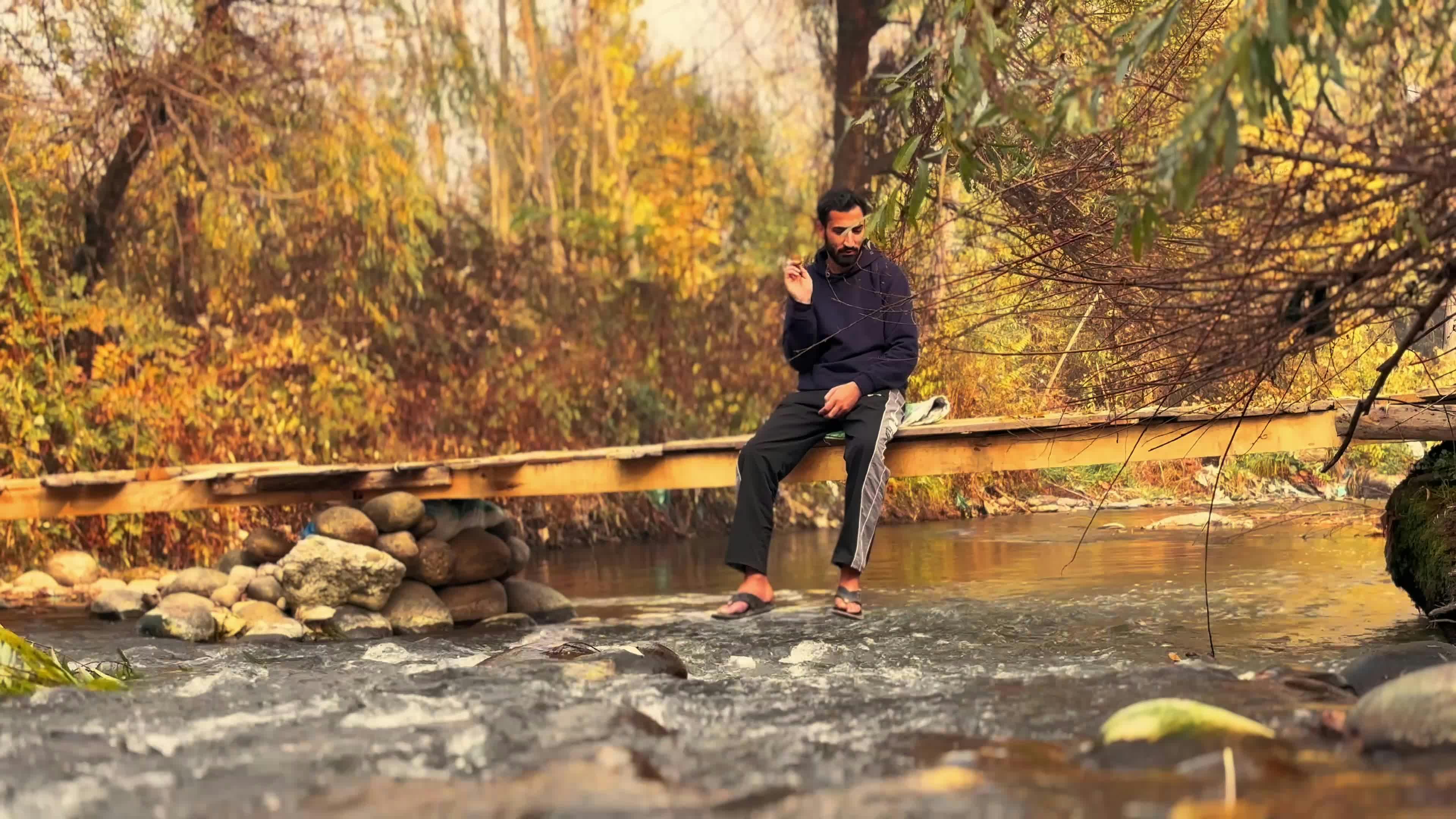 Leaf Remove Background Videos, Download The BEST Free 4k Stock Video ...