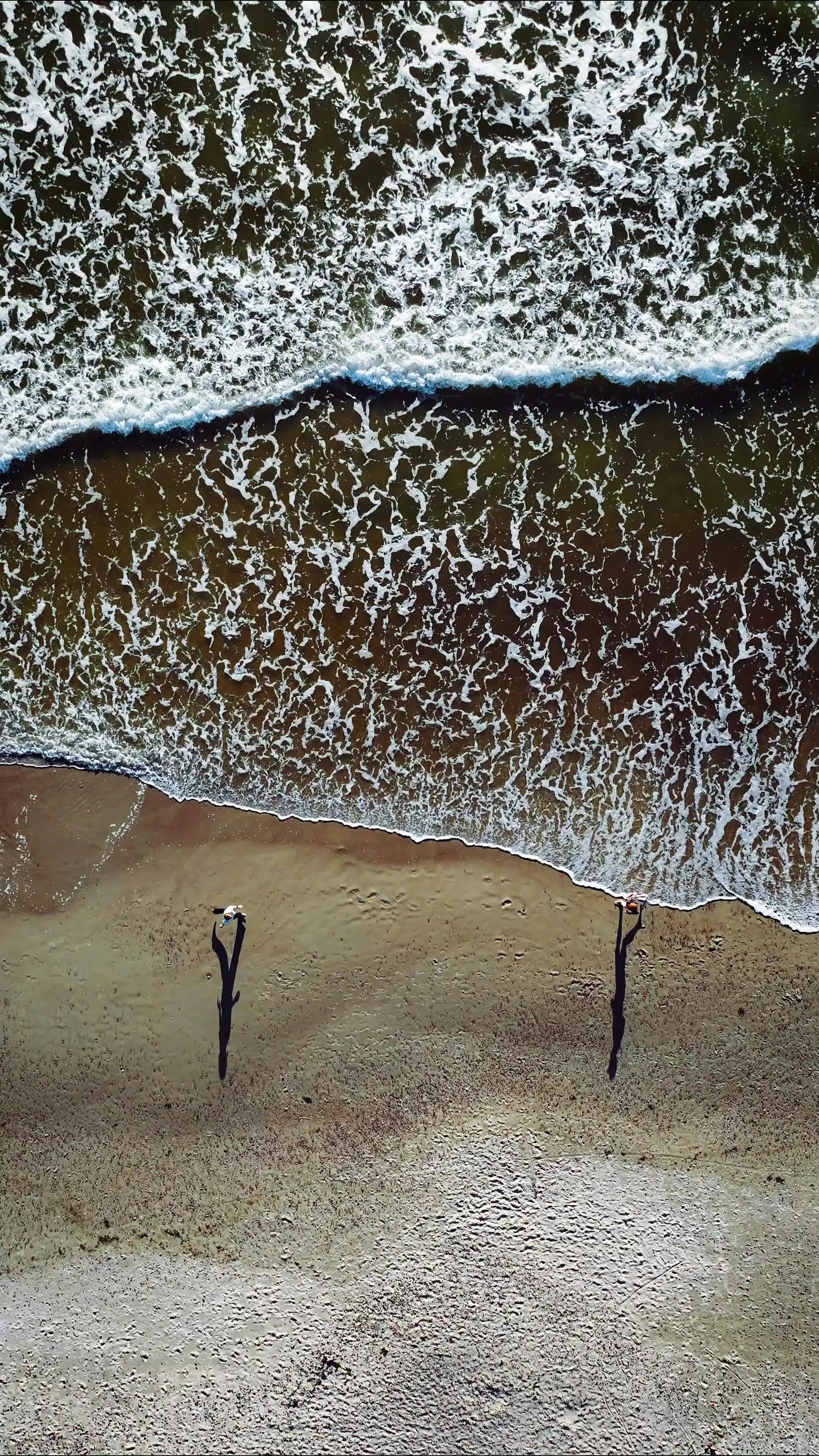 Baltic Summer Videos, Download The BEST Free 4k Stock Video Footage ...