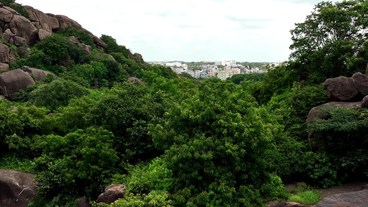 Blackpink+Lisa+Twerking+Compilation Videos, Download The BEST Free 4k ...