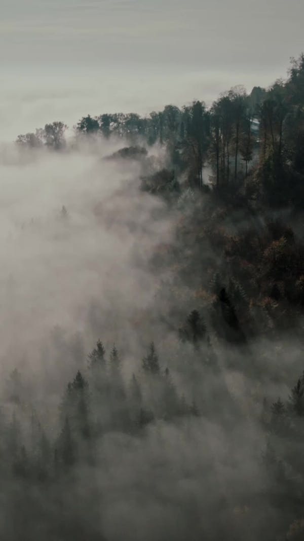 Reel Background Videos, Download The BEST Free 4k Stock Video Footage ...