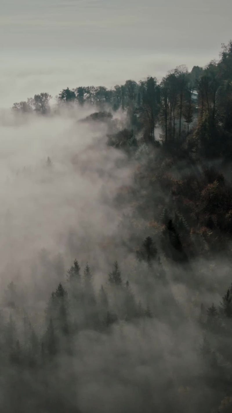 Reel Background Videos, Download The BEST Free 4k Stock Video Footage ...