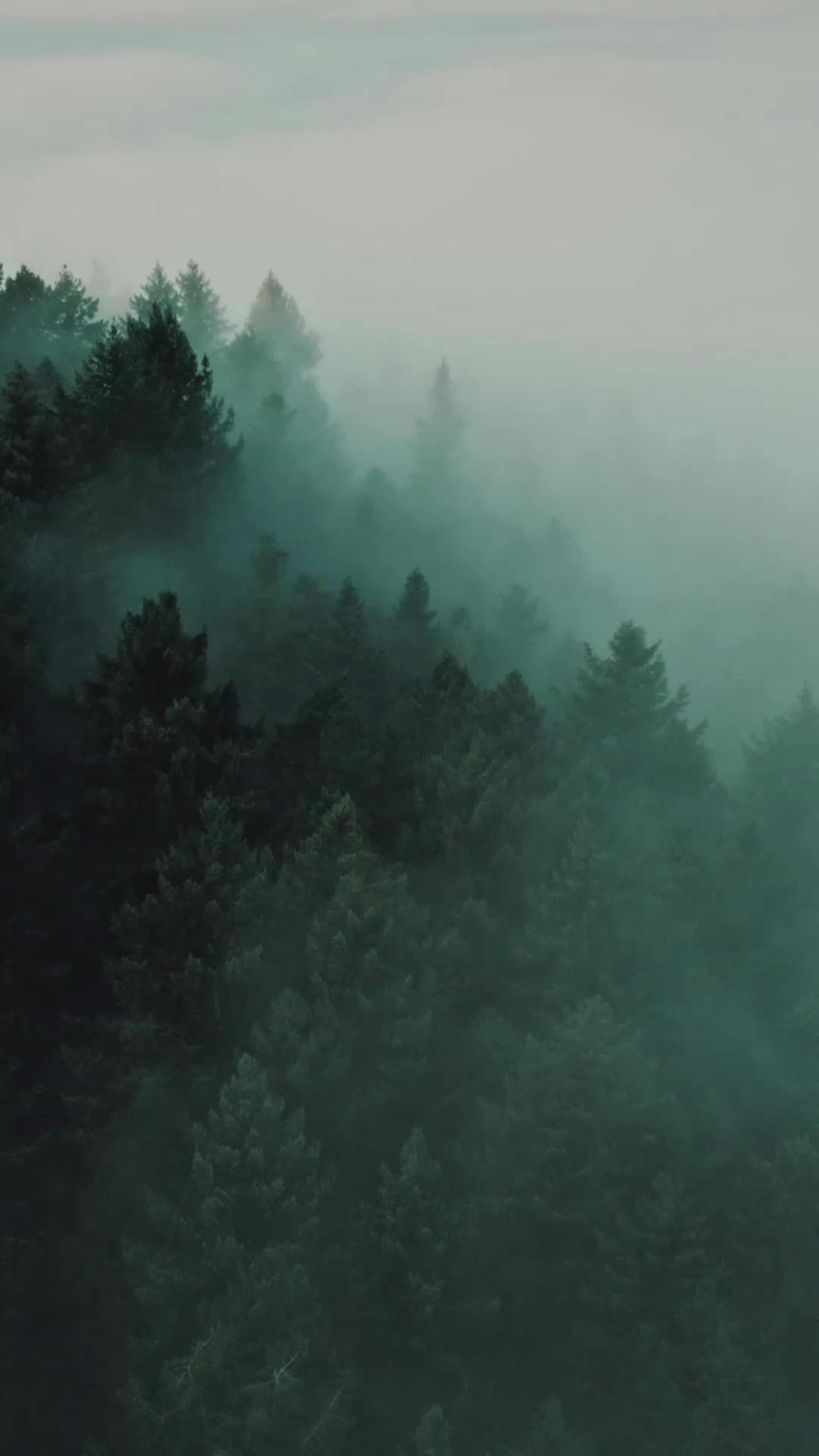 Reel Background Videos, Download The BEST Free 4k Stock Video Footage ...