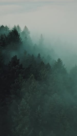 Background Without Watermark Videos, Download The BEST Free 4k Stock ...