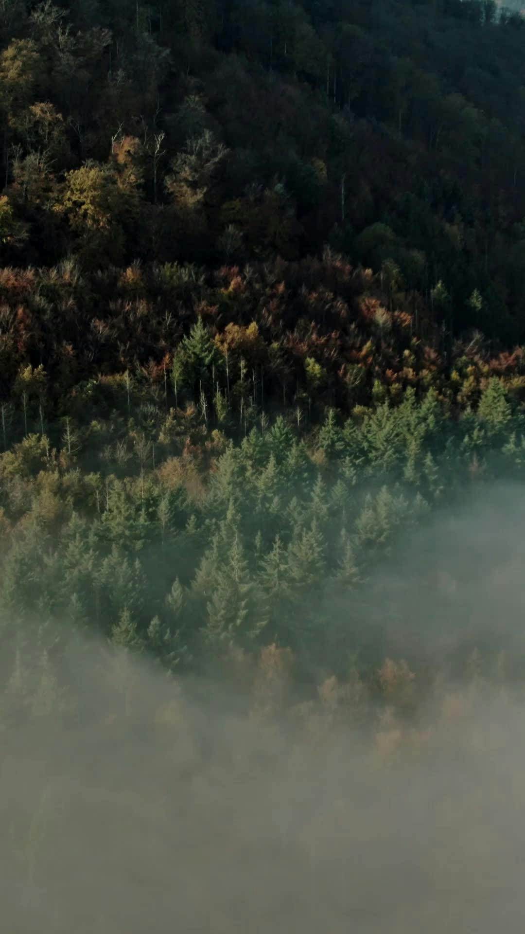 Instagram Reel Background Videos, Download The BEST Free 4k Stock Video ...