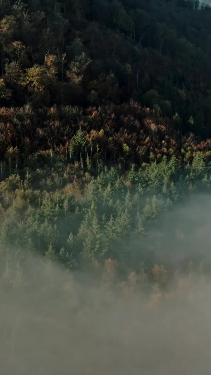 Instagram Reel Background Videos, Download The BEST Free 4k Stock Video ...