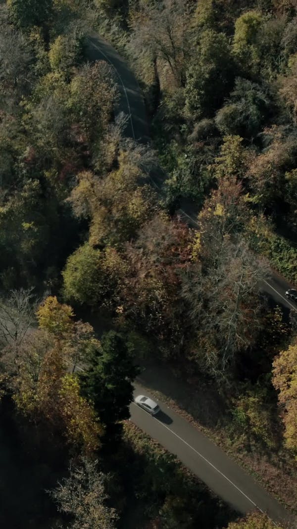 Background Without Watermark Videos, Download The BEST Free 4k Stock ...