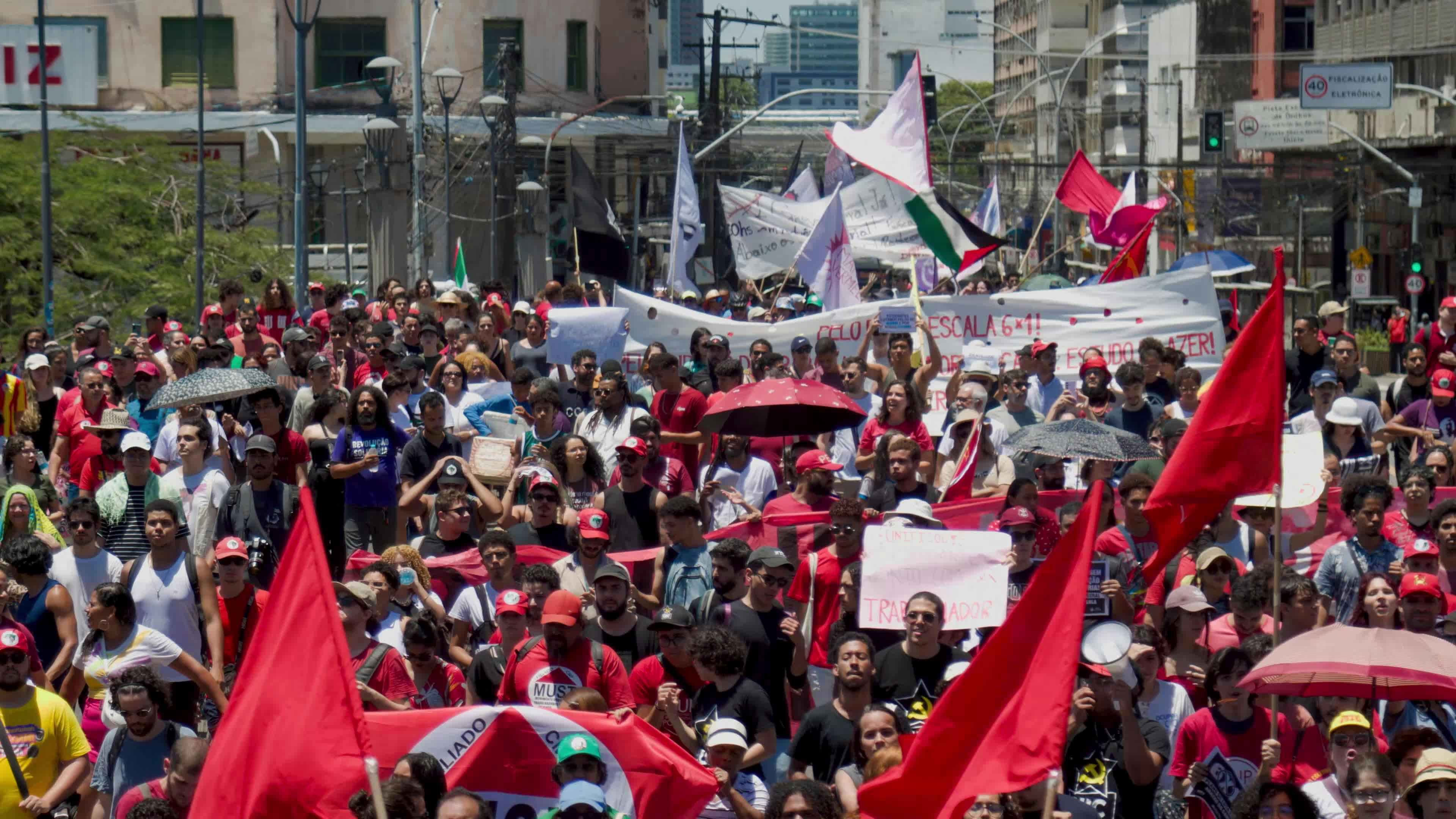 Vibrant Protest March on City Street Free Stock Video Footage, Royalty ...