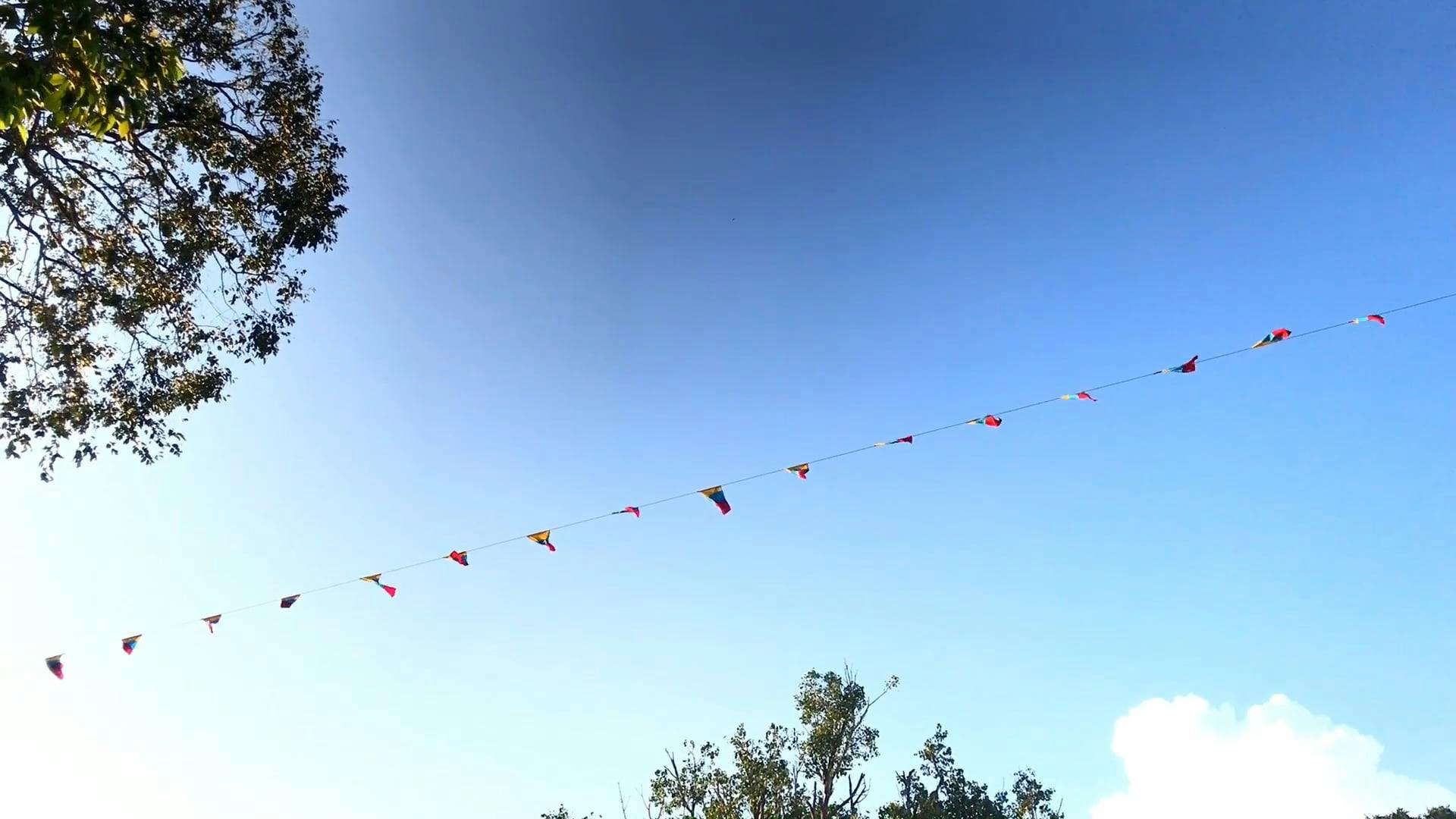 String Of Flags On Display For A Parade · Free Stock Video