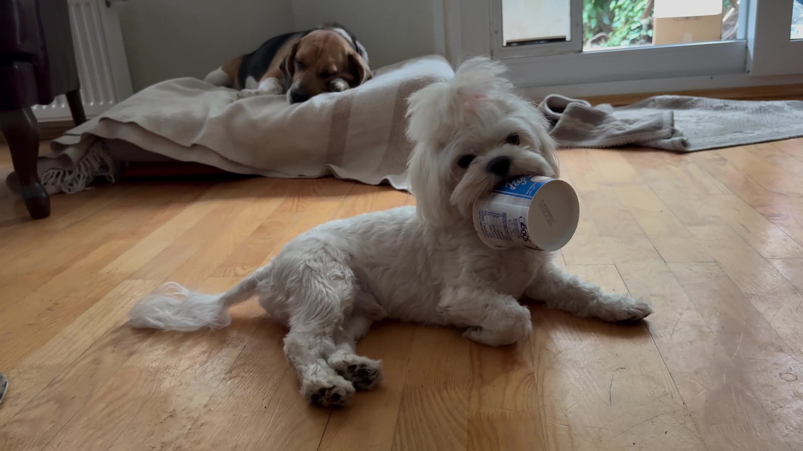 Popu+Chhodolar+Now+On+B+Bhi+Cu+Bhi+Cupp+Vi+Crop+Bhi+Cu+Bhi+Cuppi+Vo+Cu ...