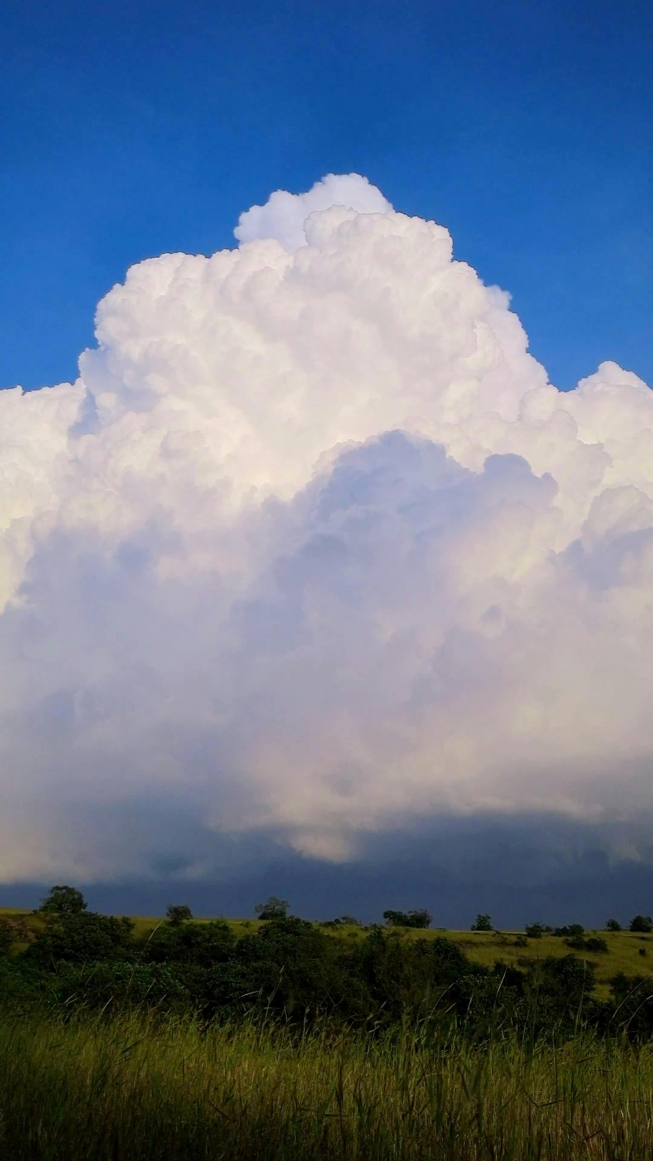 Weather Live Videos, Download The BEST Free 4k Stock Video Footage ...