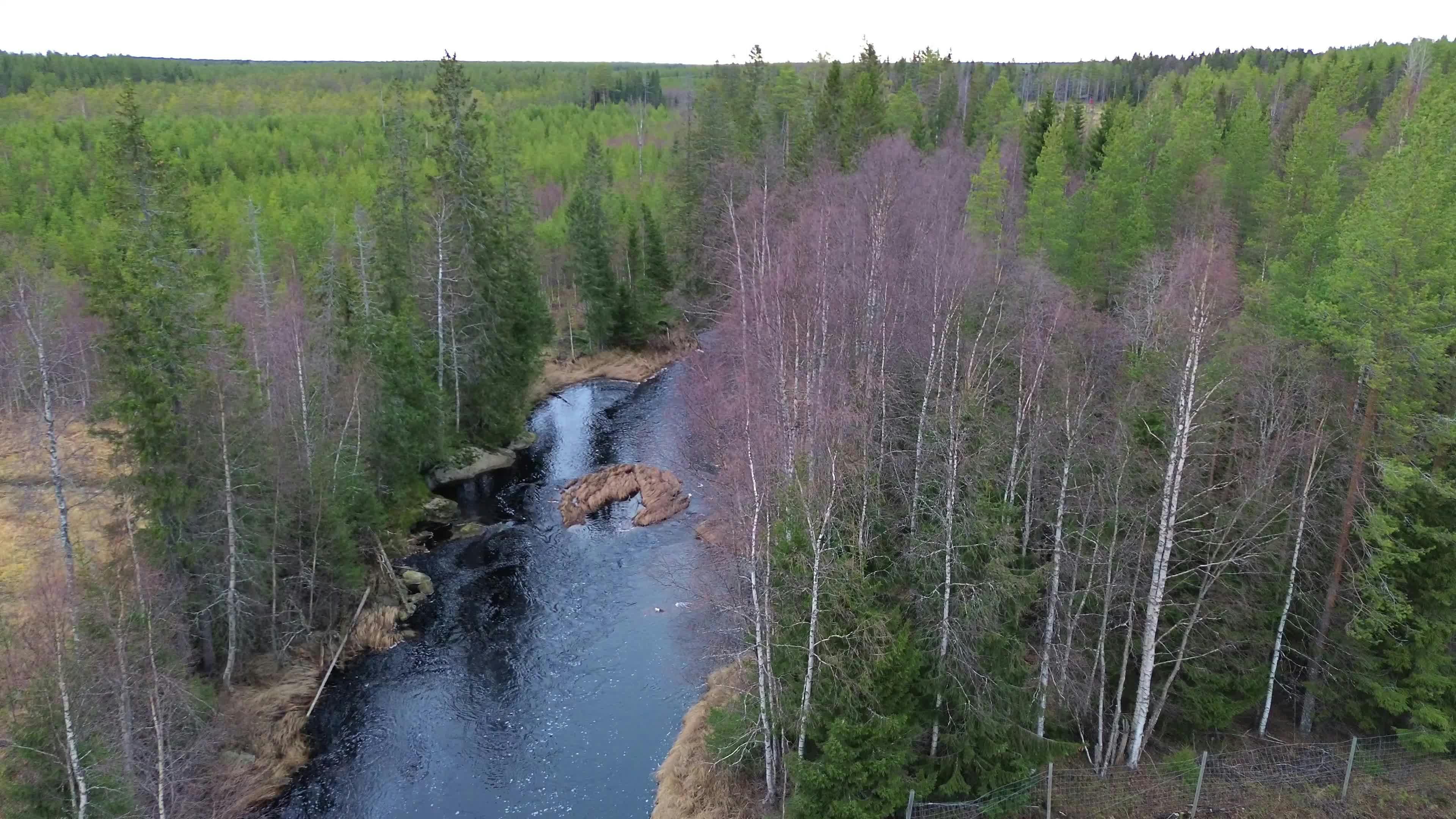 Sakura Capture Videos, Download The BEST Free 4k Stock Video Footage ...