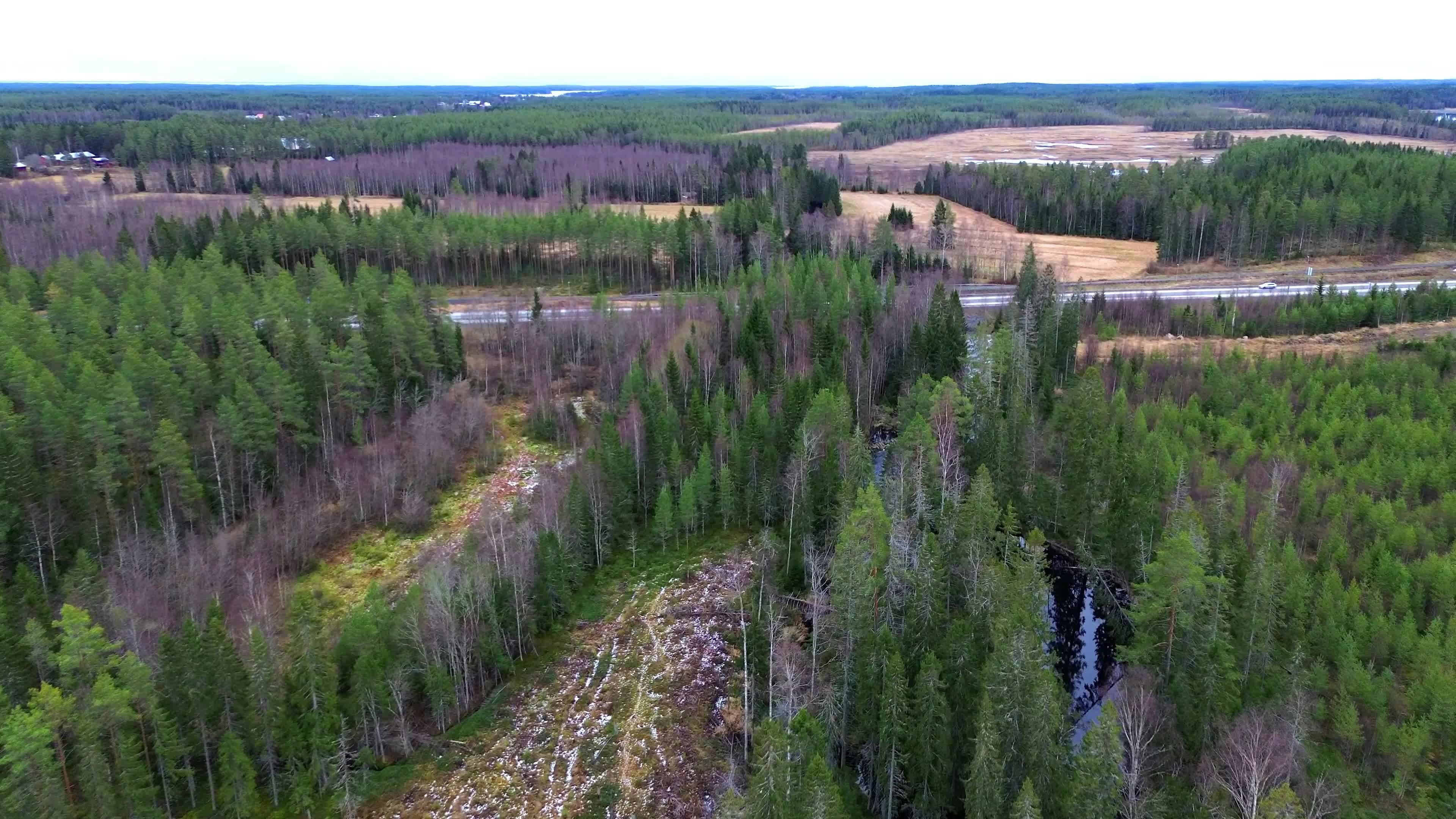 Forest Drone Footage Videos, Download The BEST Free 4k Stock Video ...