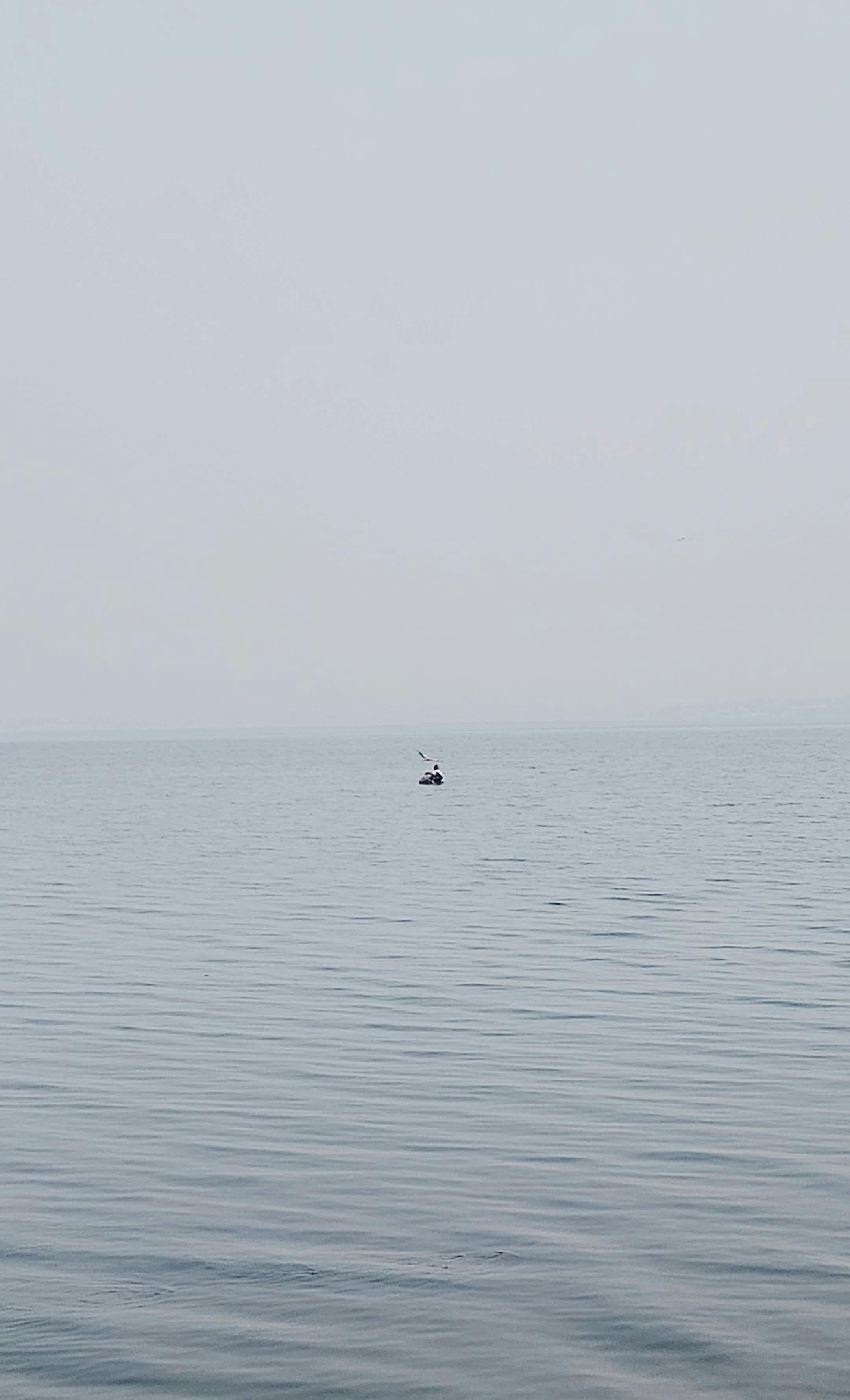 Full Hd Video Videos, Download The BEST Free 4k Stock Video Footage ...