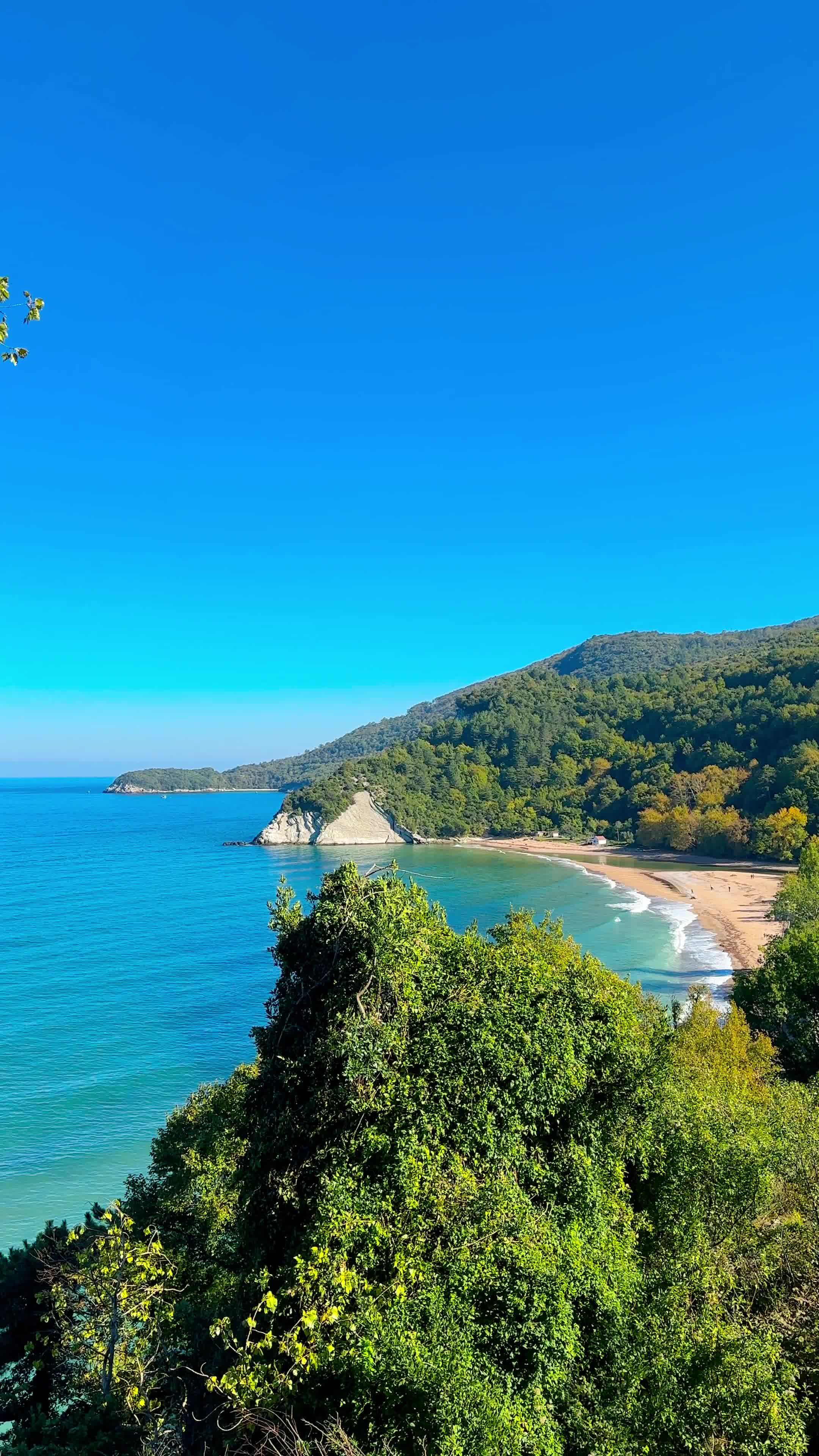 Scenic View of Forested Coastline and Blue Sea Free Stock Video Footage ...