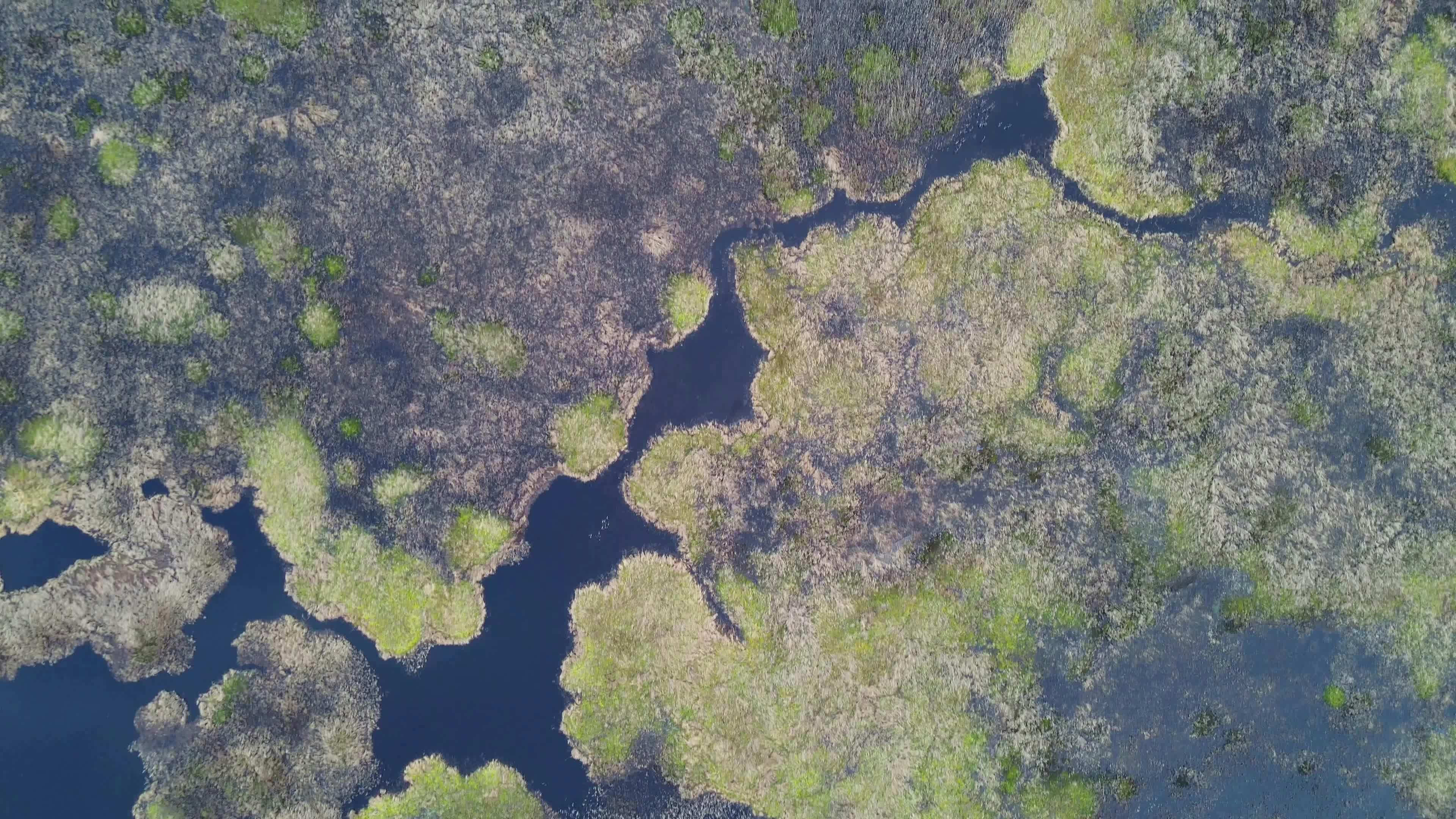 Aerial View of Scenic Marshland Landscape Free Stock Video Footage ...