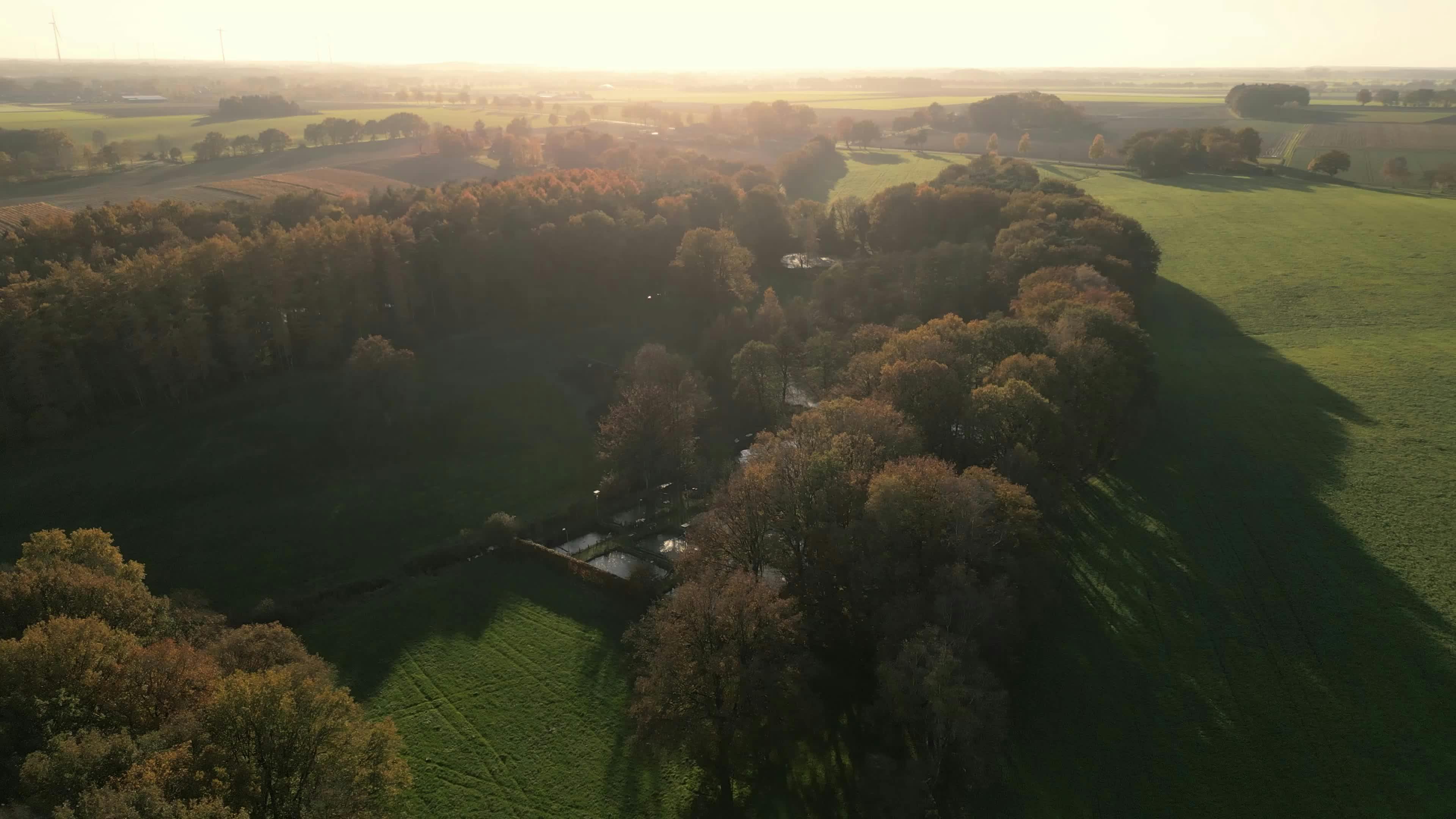 Scenic Aerial View of Autumn Forest Sunrise Free Stock Video Footage ...