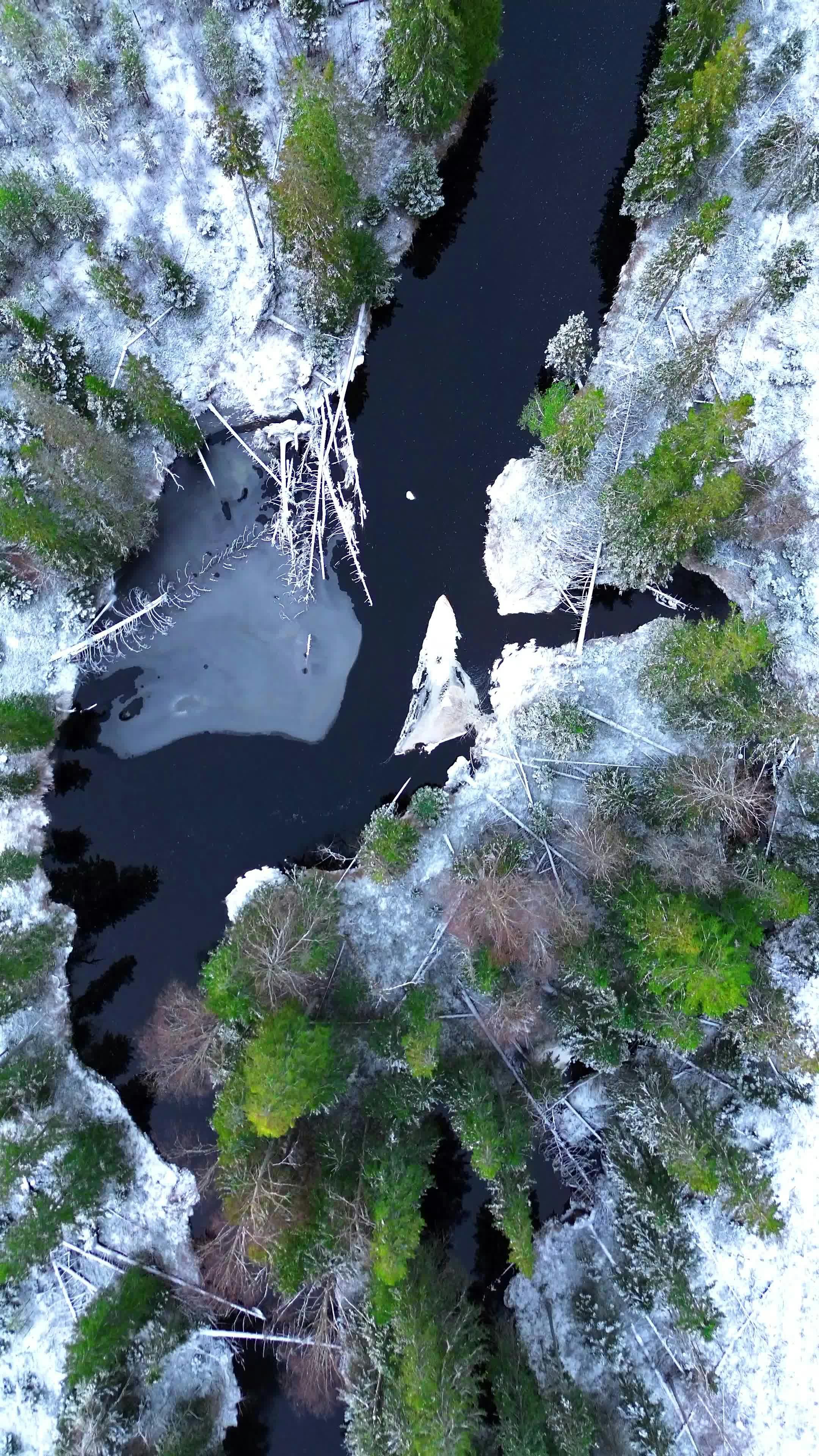 Aerial Winter Landscape with Snowy Forest Free Stock Video Footage ...