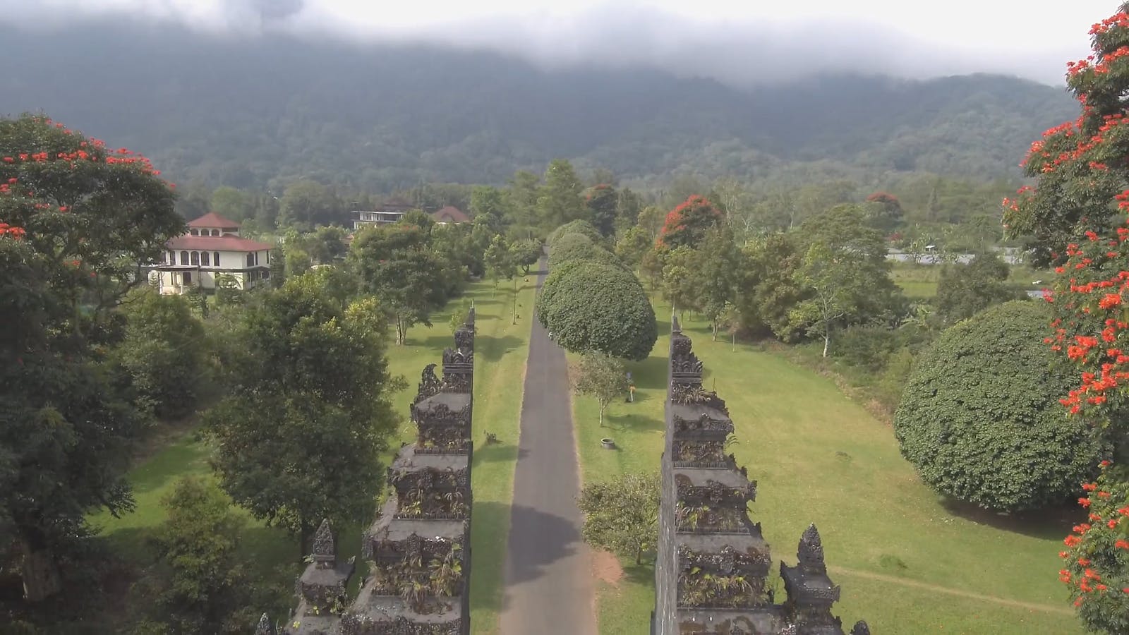 Nature Video Videos, Download Free 4k Stock Video Footage & Nature ...