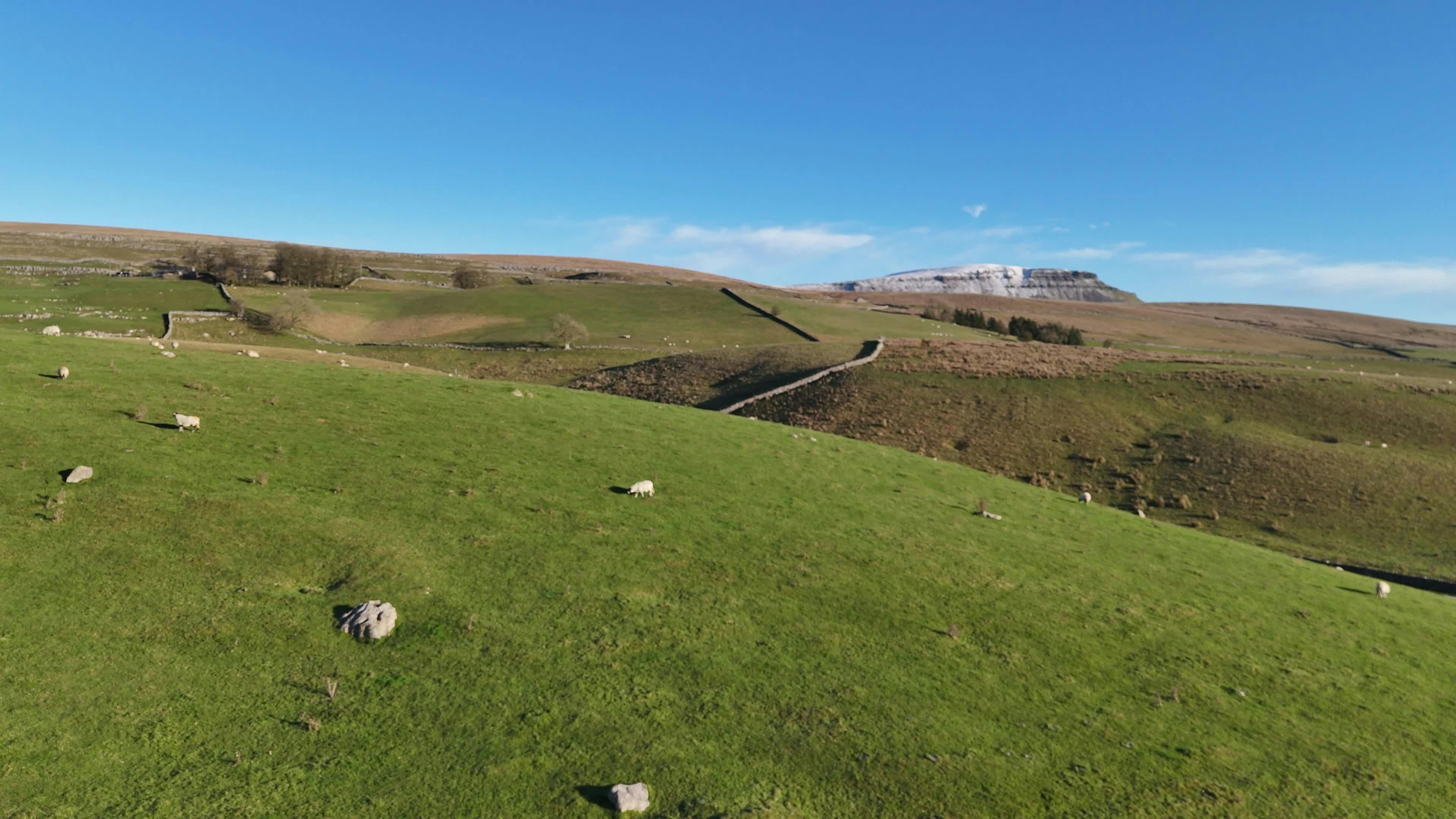Beautiful Aerial View of Green Hills and Stone Fences Free Stock Video ...