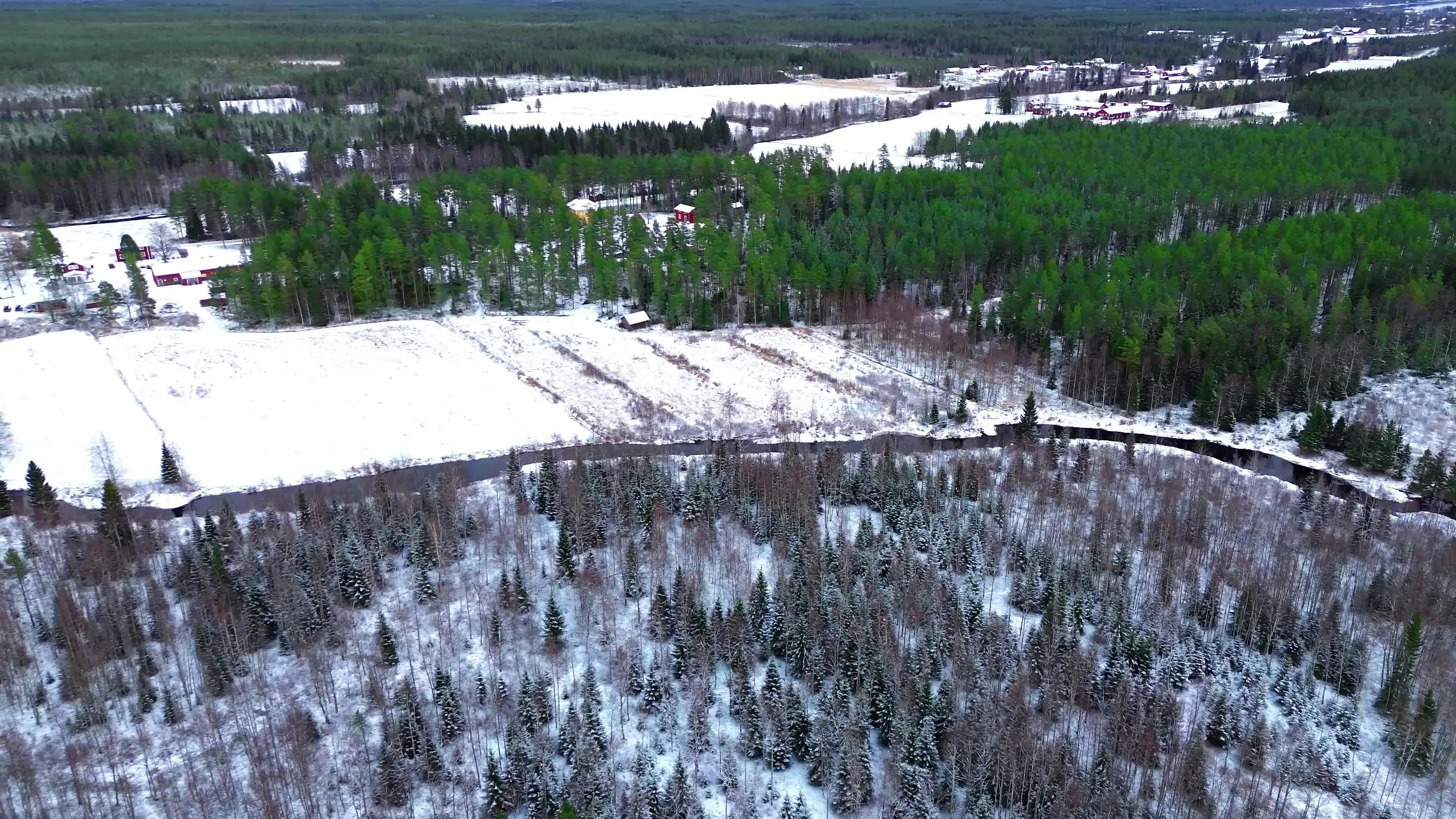 Drone Aerial View of Snowy Winter Forest Free Stock Video Footage ...