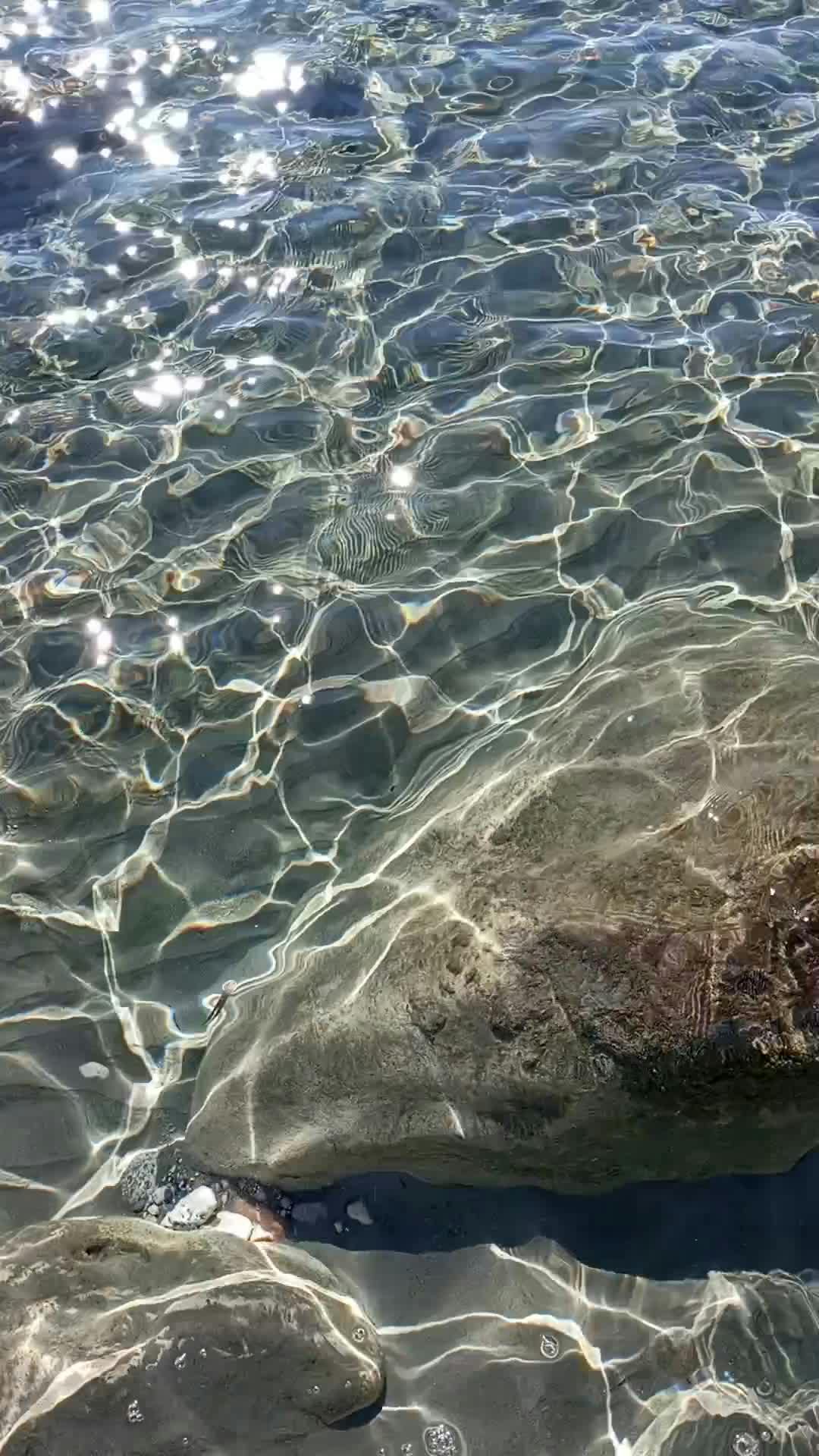Crystal Clear Water Over Beach Rocks Free Stock Video Footage, Royalty ...