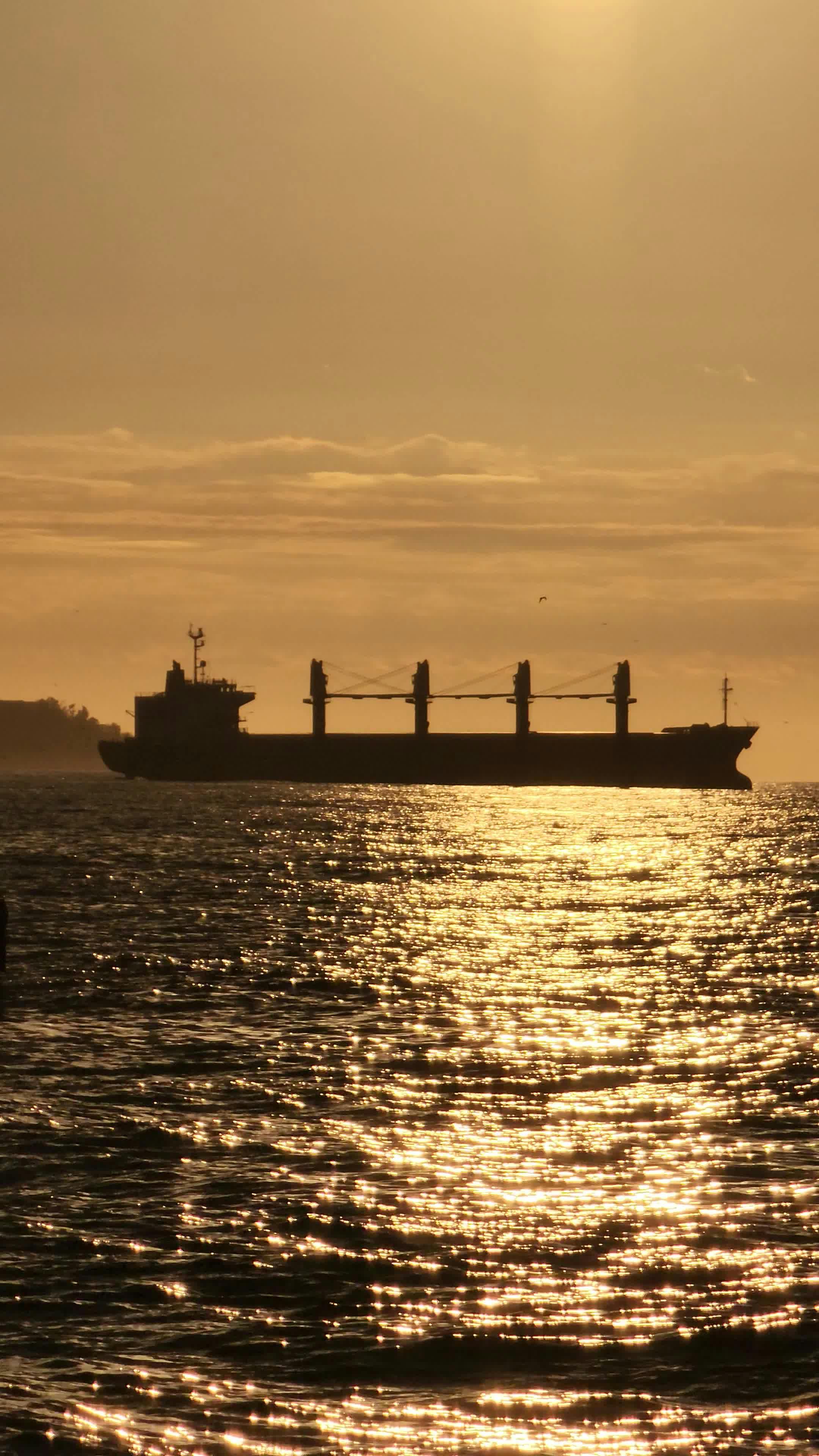 Nice Video Videos, Download The BEST Free 4k Stock Video Footage & Nice ...