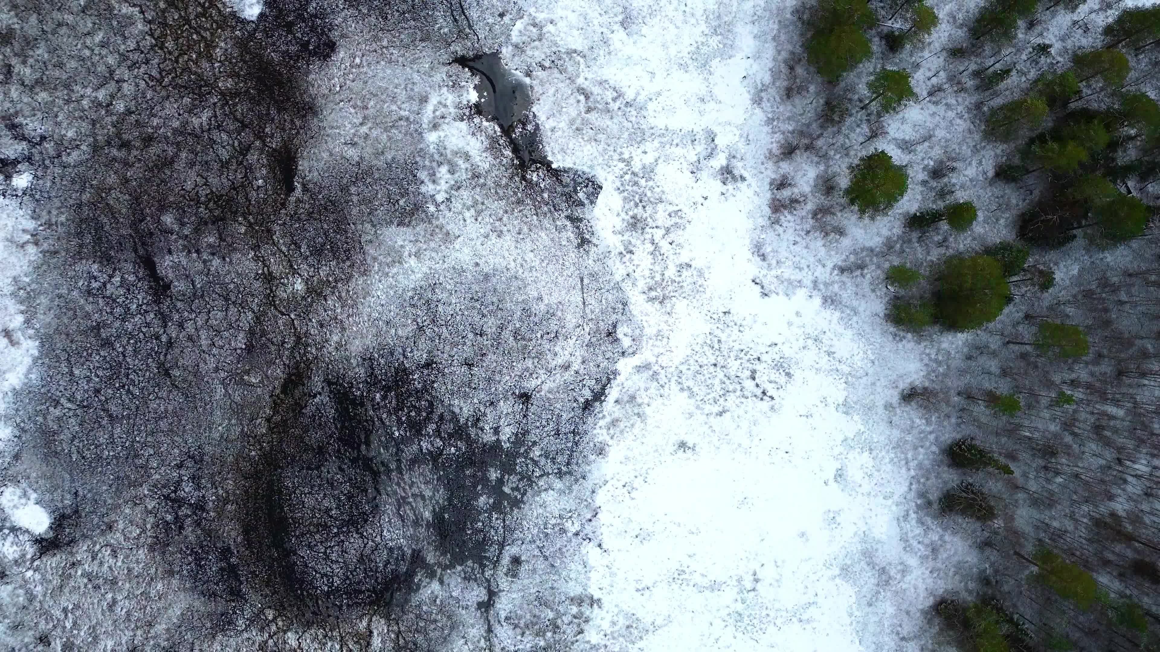 Aerial View of Snowy Forest Landscape Free Stock Video Footage, Royalty ...