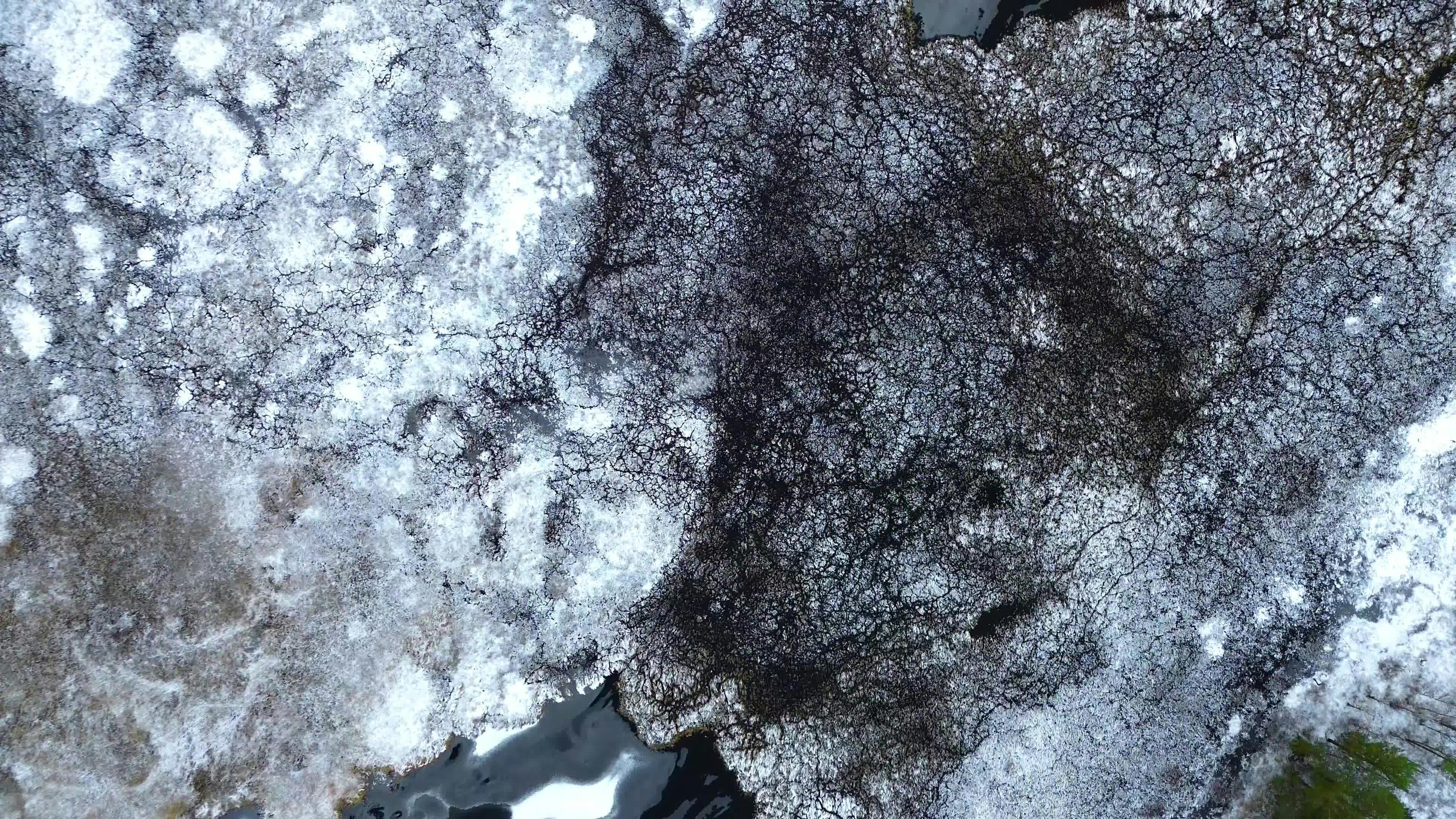 Aerial View of Snow-Covered Winter Landscape Free Stock Video Footage ...